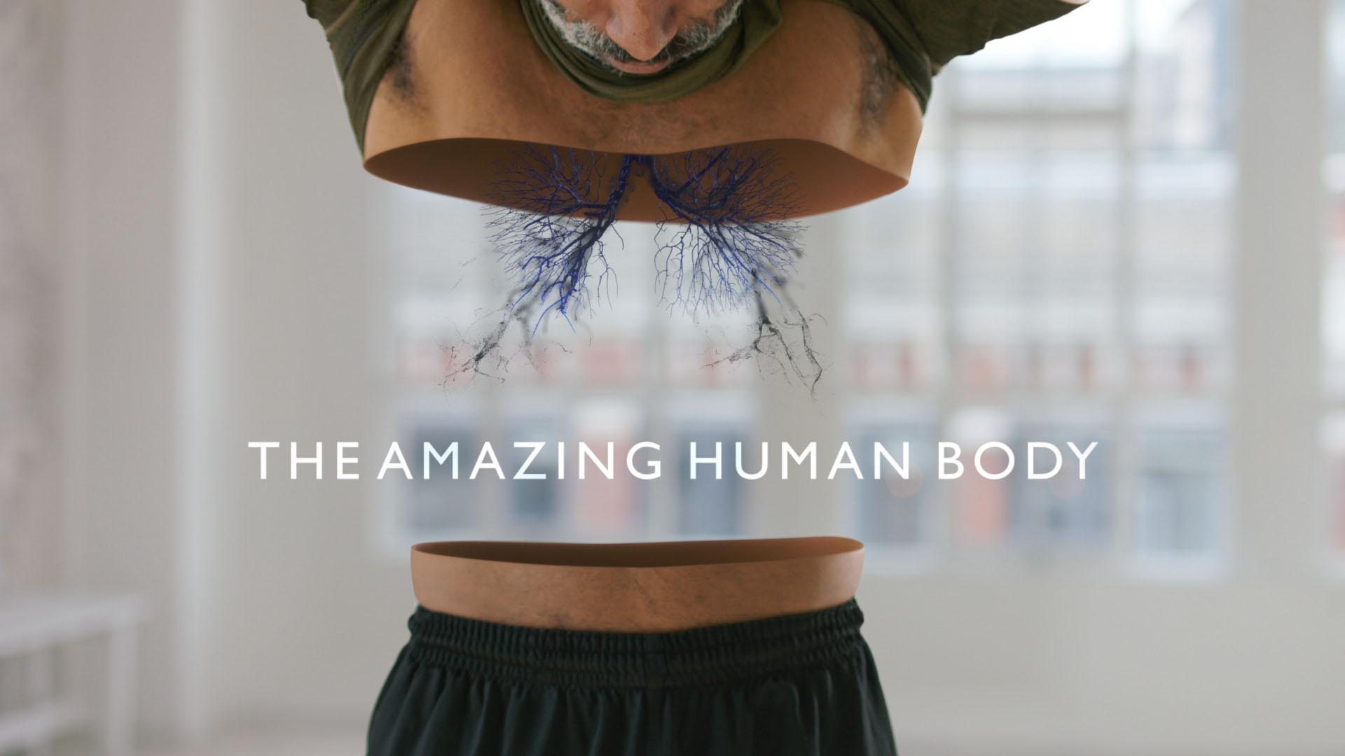 Explore the internal mechanics of the human body.