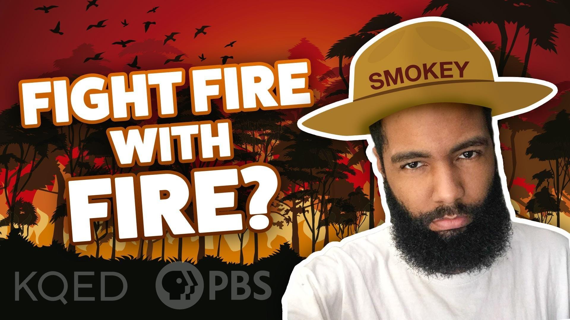 Myles Bess explores how to best manage wildfires in the face of climate ...