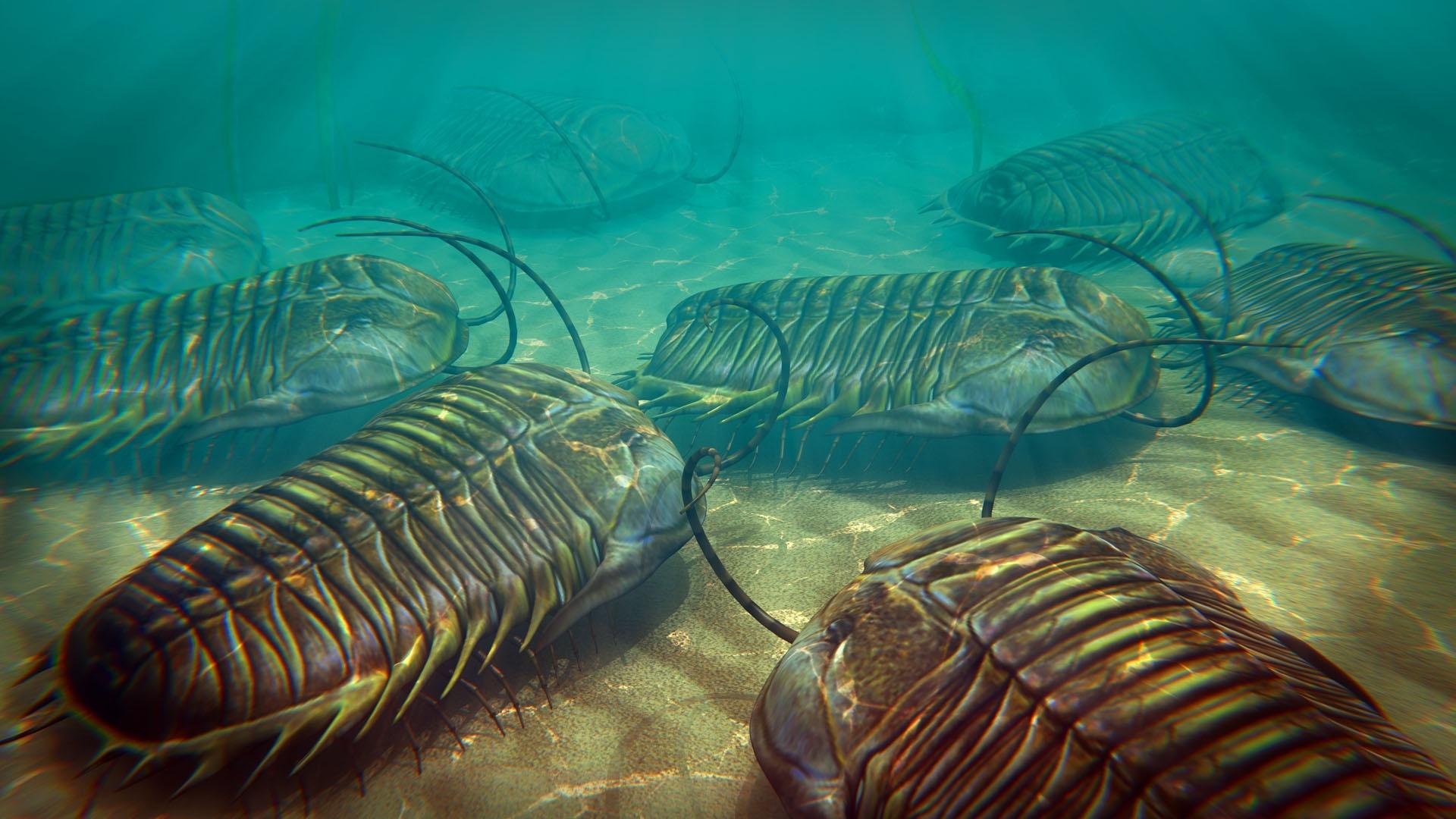 How Ancient Microbes Rode Bug Bits Out to Sea | Cascade PBS