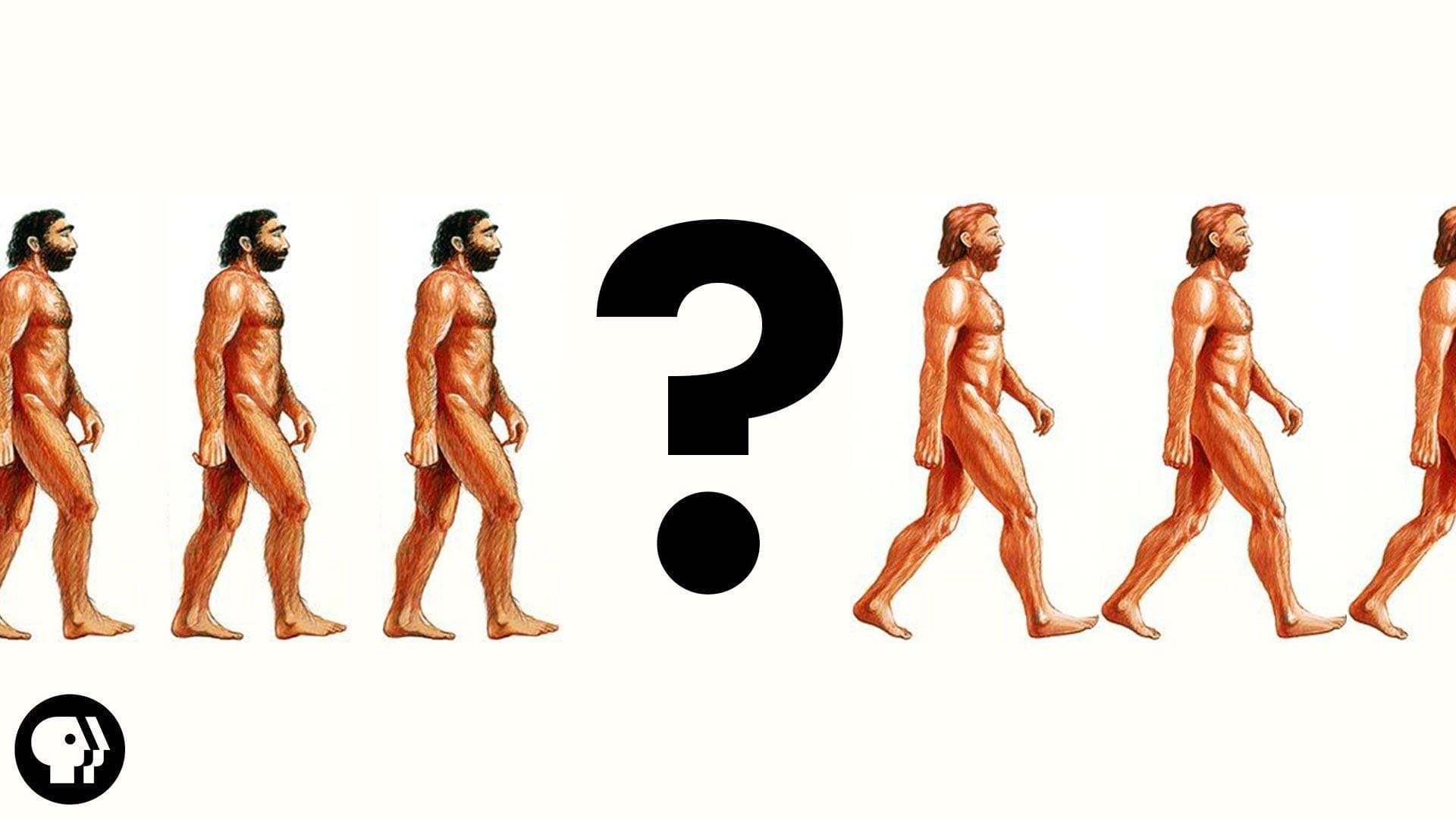 There Was No First Human | Cascade PBS