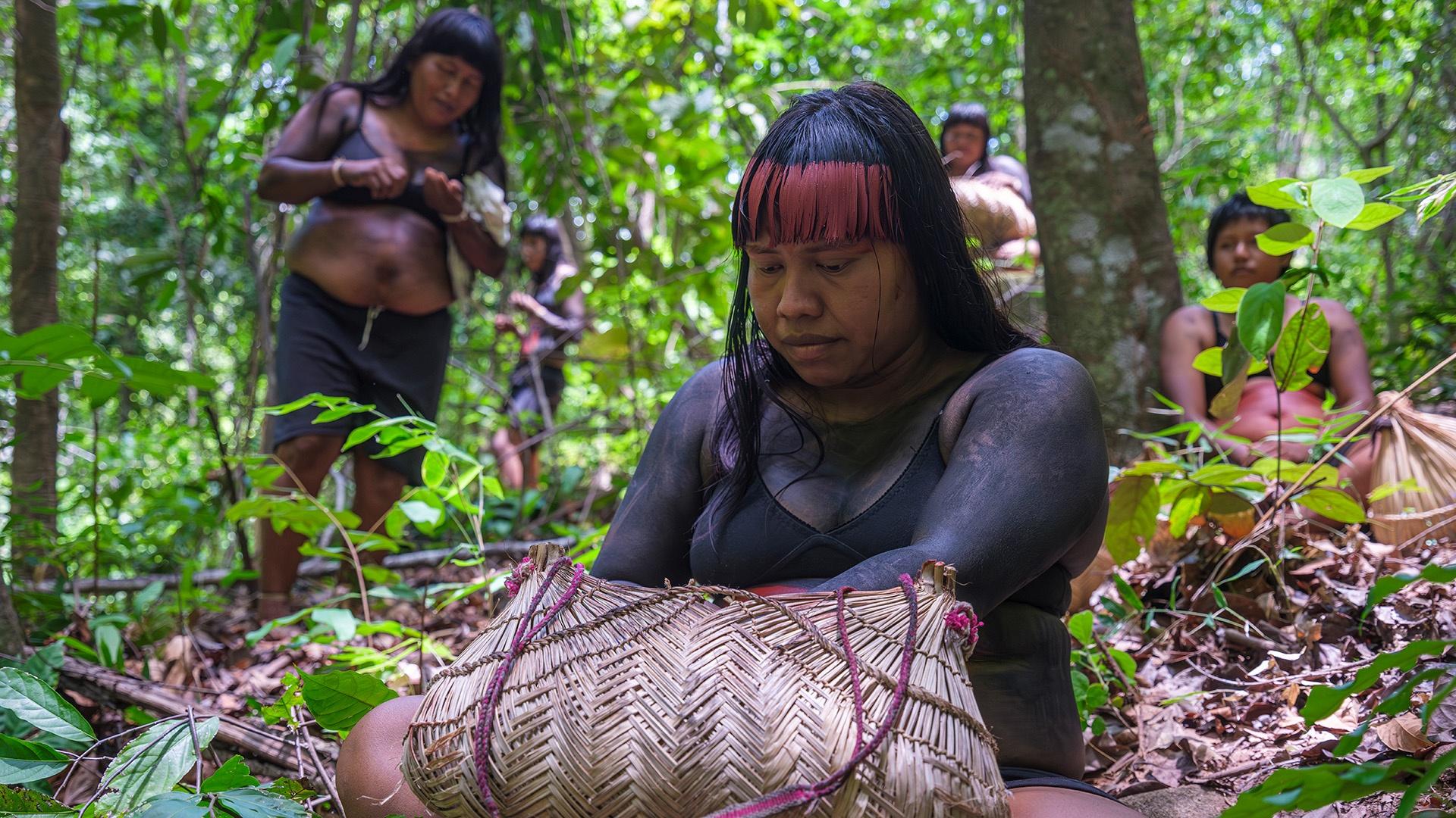 Carbon drawdown is a superpower of forests. Understand why restoring ...