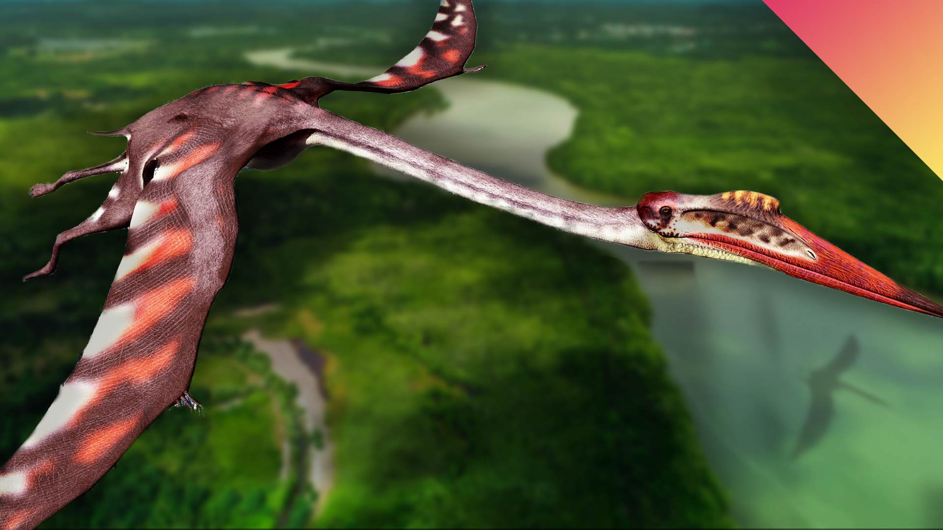 How Did Giant Pterosaurs Fly? | Cascade PBS