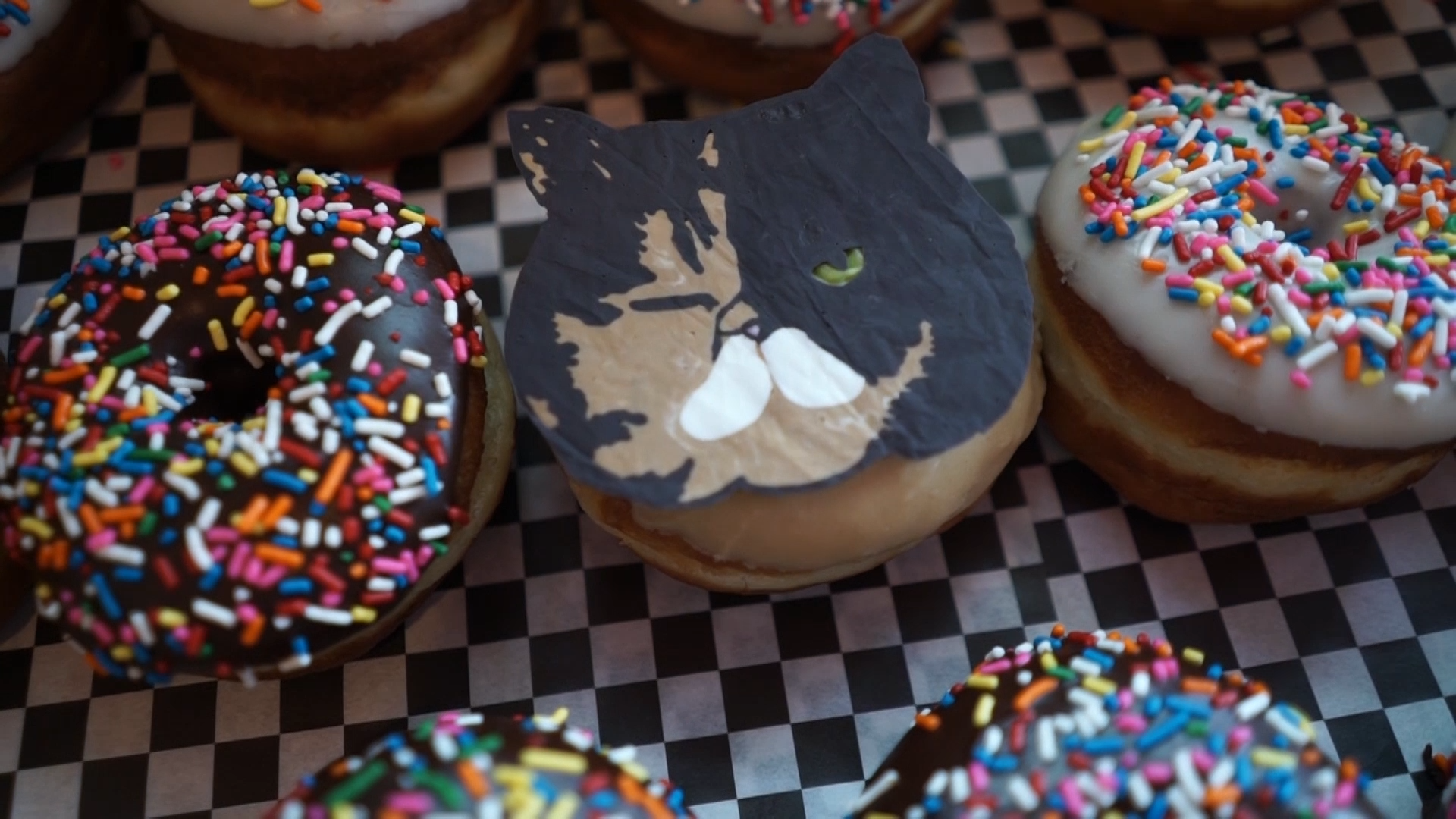 Kady Lone and Pudge the Cat Get Donuts, Talk Business | Cascade PBS