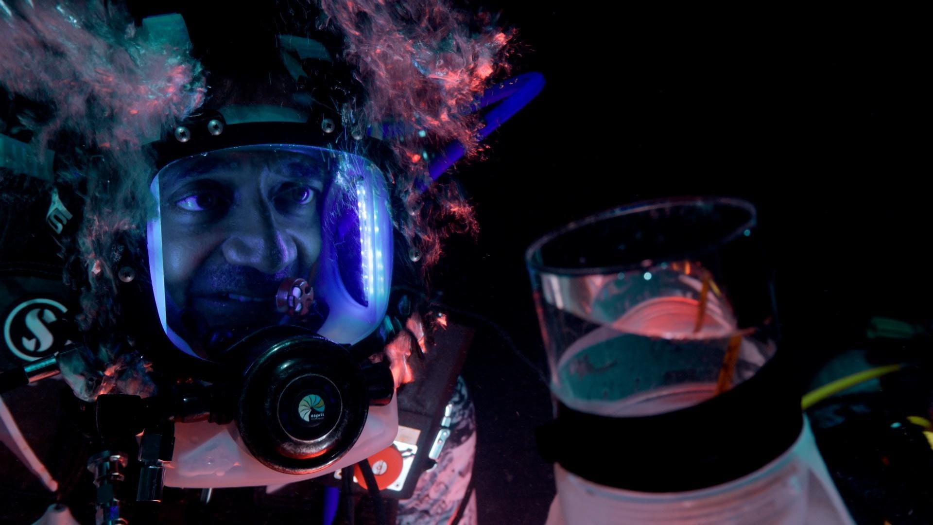 M. Sanjayan witnesses the ingenious net capturing of coral spawn ...