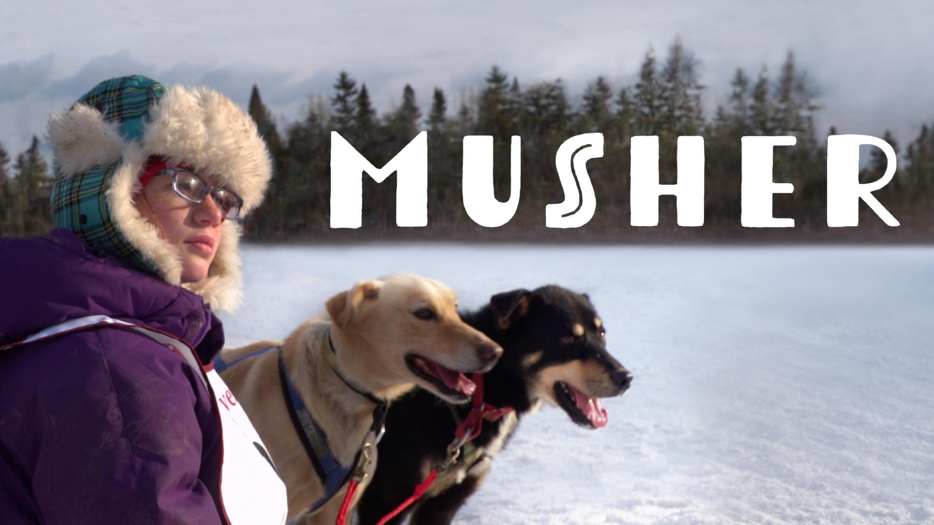 "Musher" is a film about the lives of four sled dog racers (mushers ...
