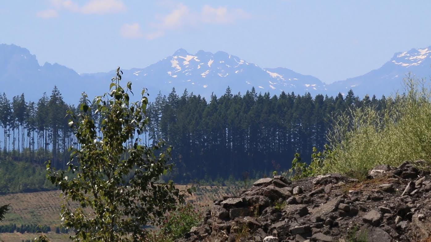 Forests, shores and the future: How one district can sway the state ...