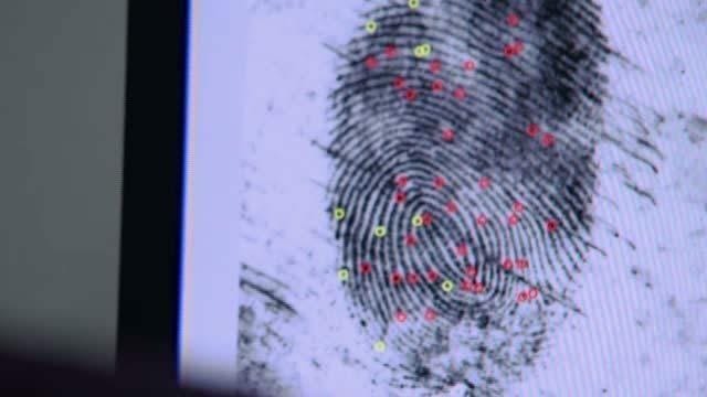 The Real CSI Preview | Cascade PBS