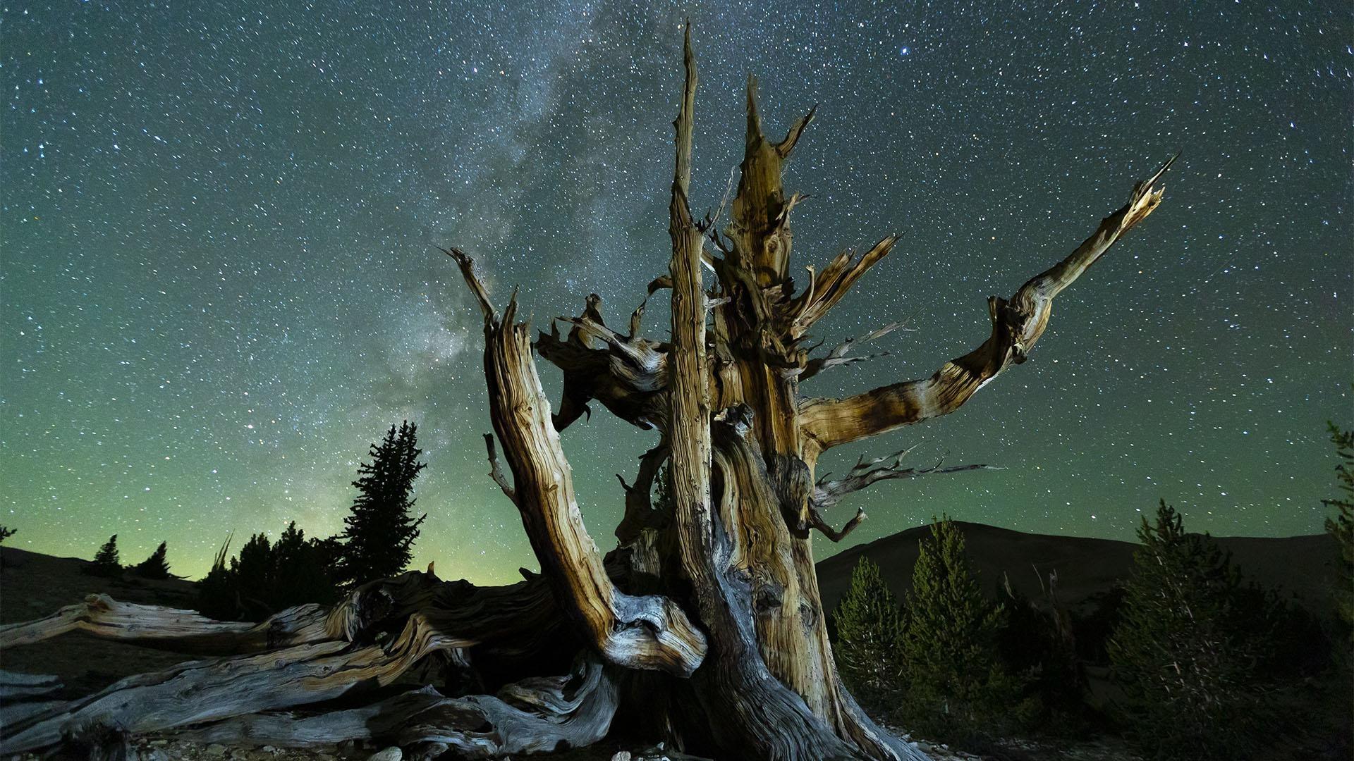 Preview | Cascade PBS