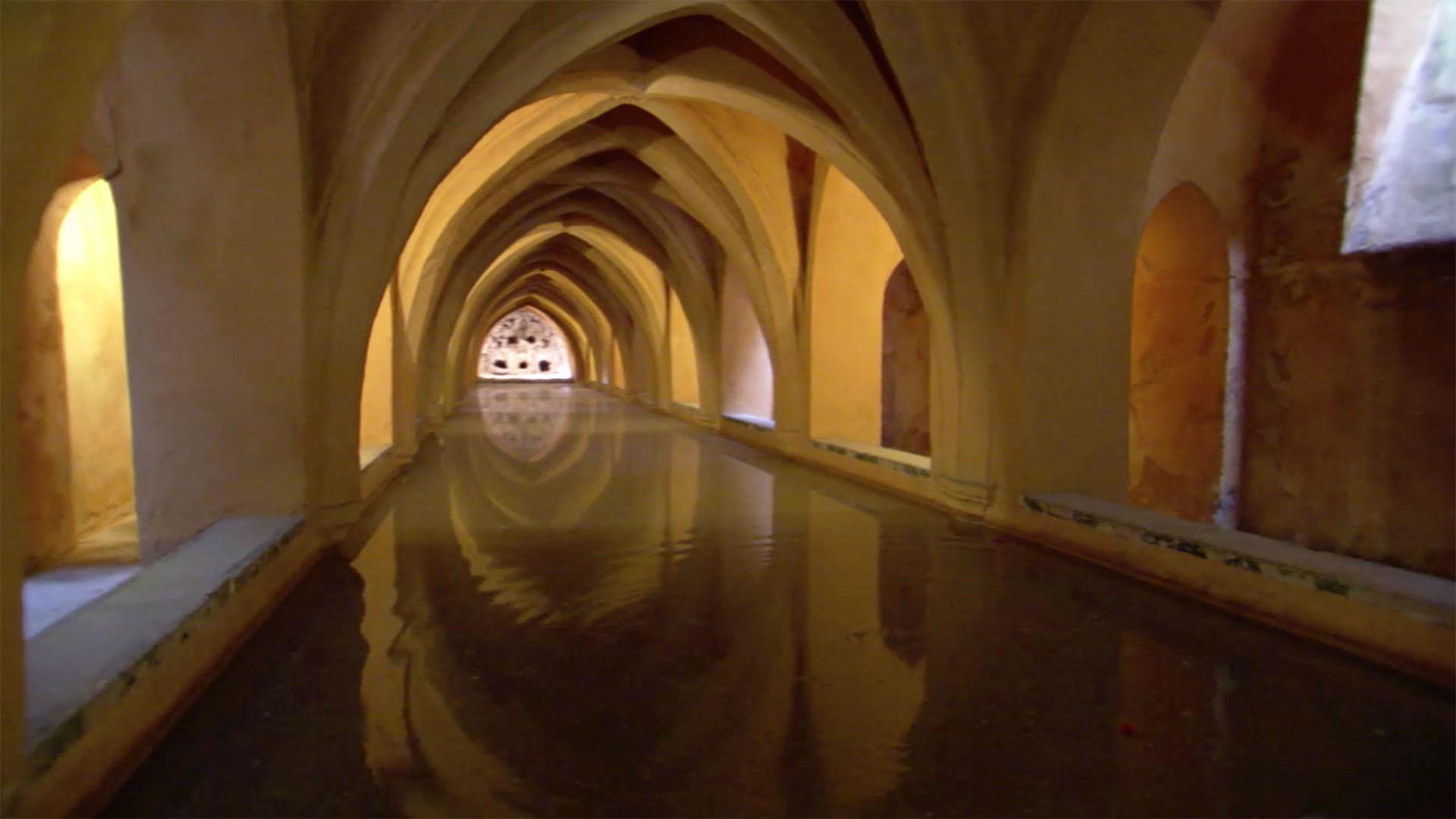 Extended Preview | Cascade PBS