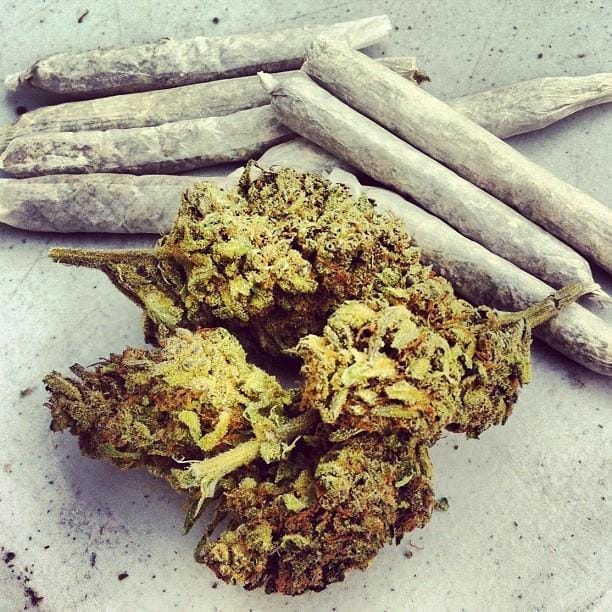 Seattle's weed farmers market may face $80,000+ in fines | Cascade PBS