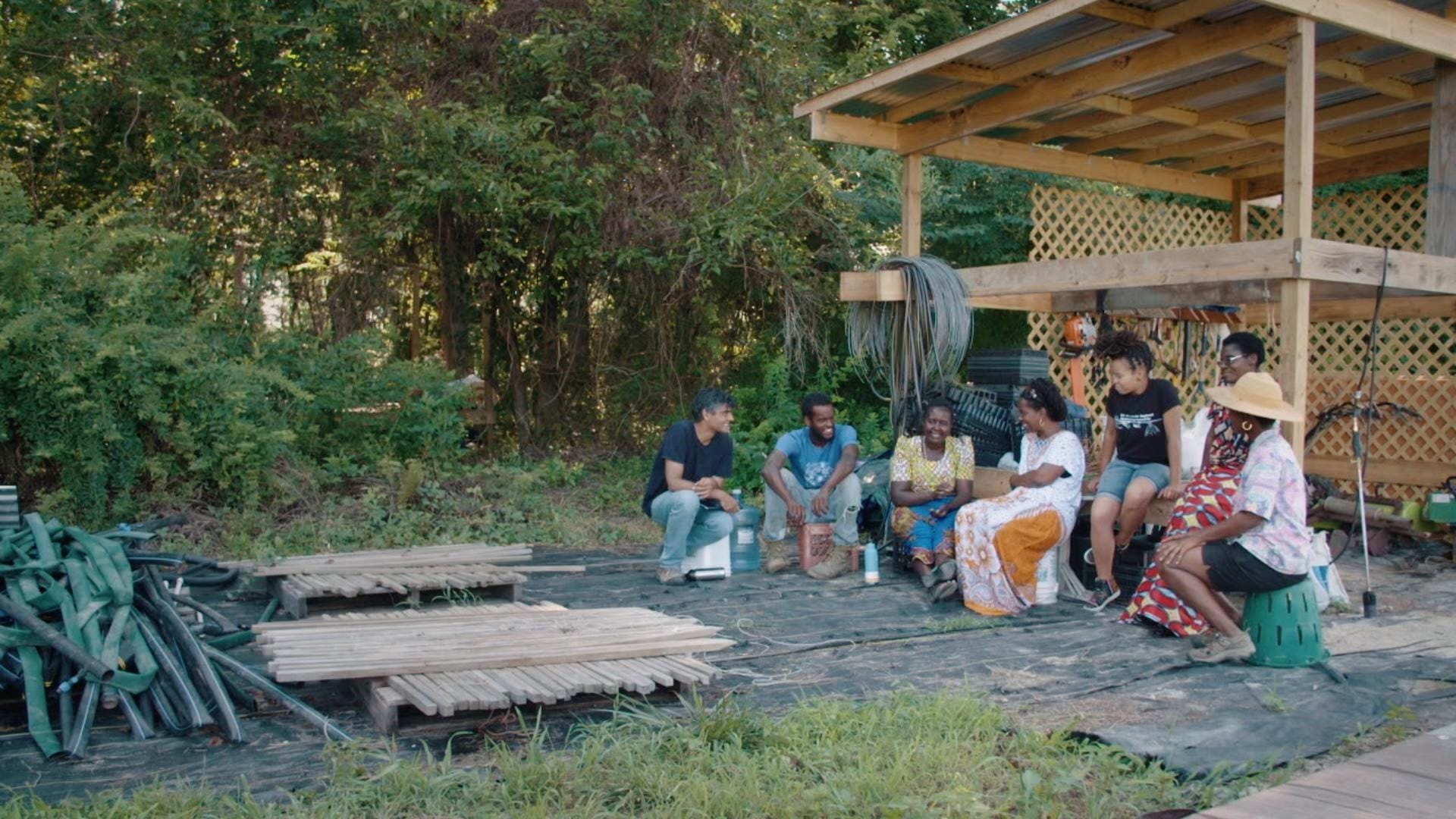 The Ants & the Grasshopper | Trailer | Cascade PBS