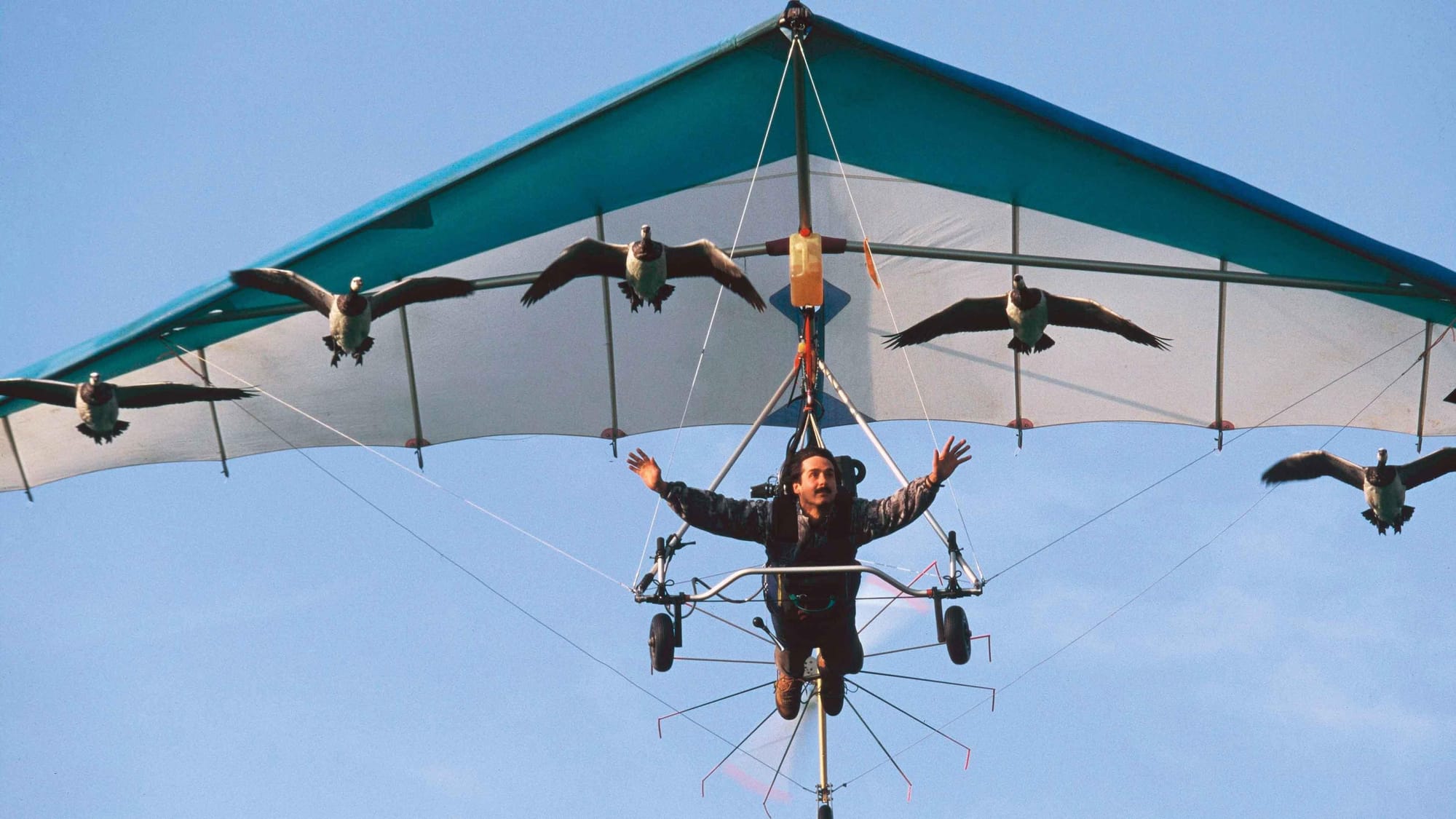 Earthflight: Flying High - Preview | Cascade PBS