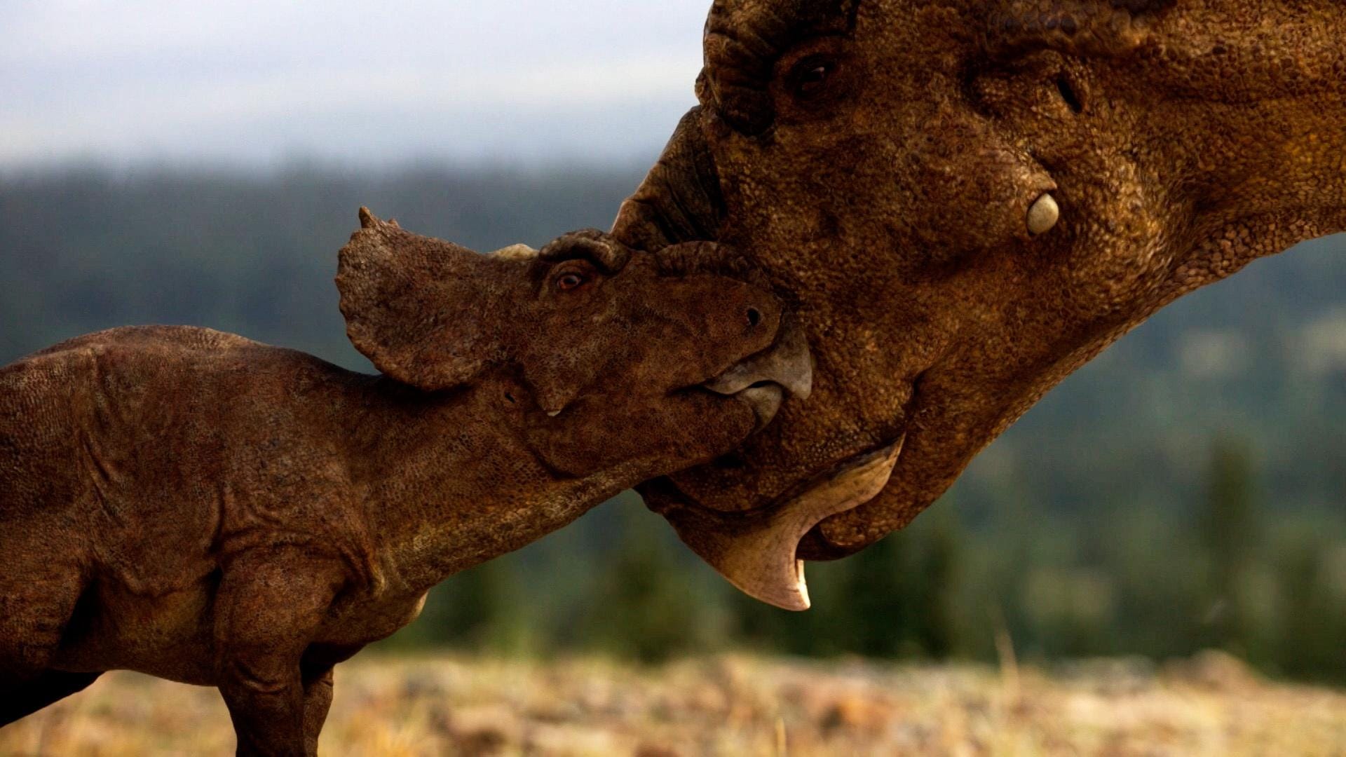 Baby Pachyrhinosaurus Struggles to Survive in the Wilderness | Cascade PBS