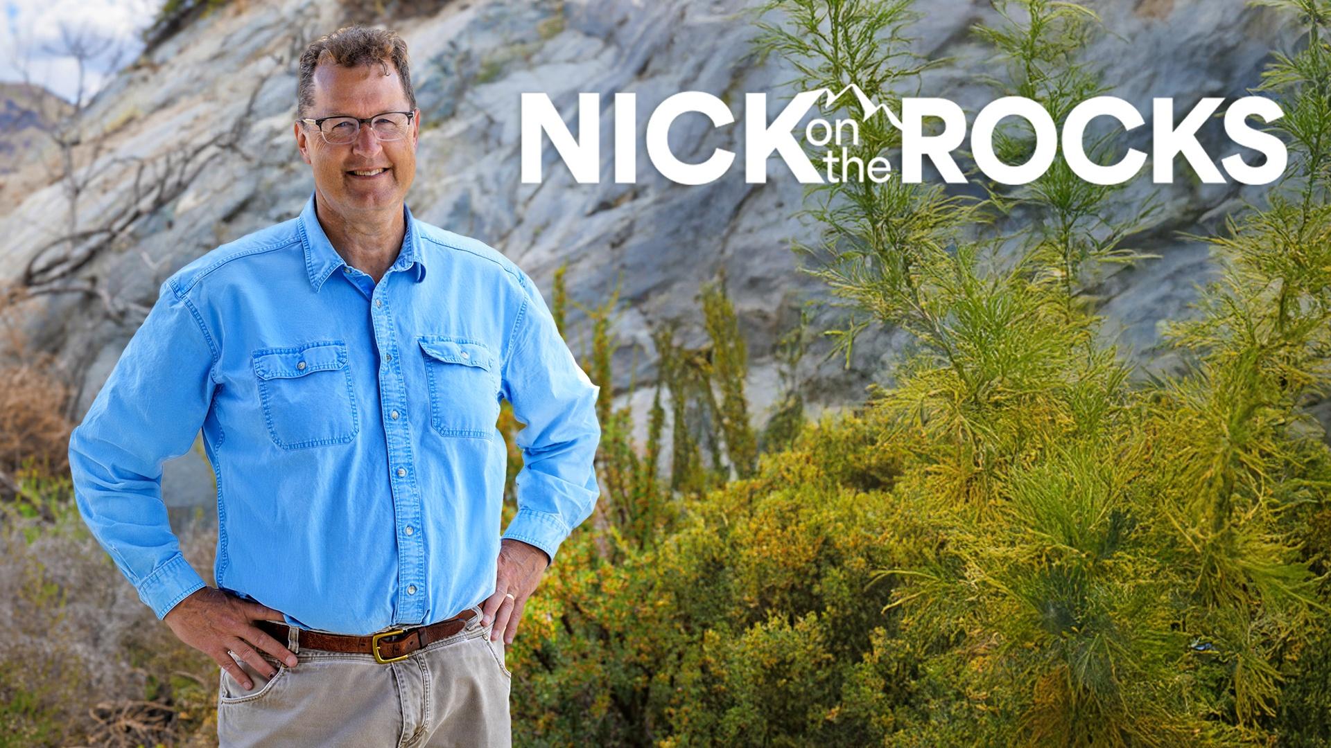 Nick on the Rocks | Cascade PBS
