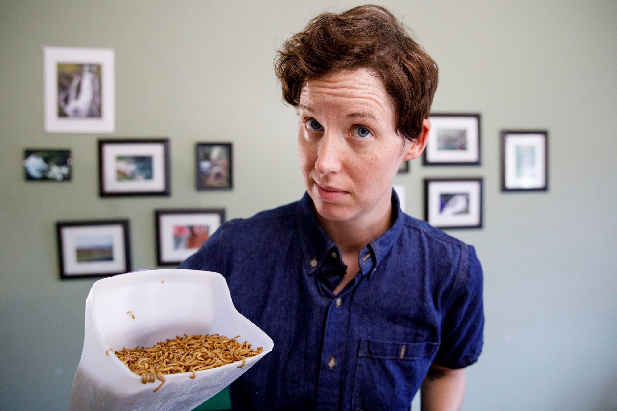 How bug ranching can fix the food system | Cascade PBS