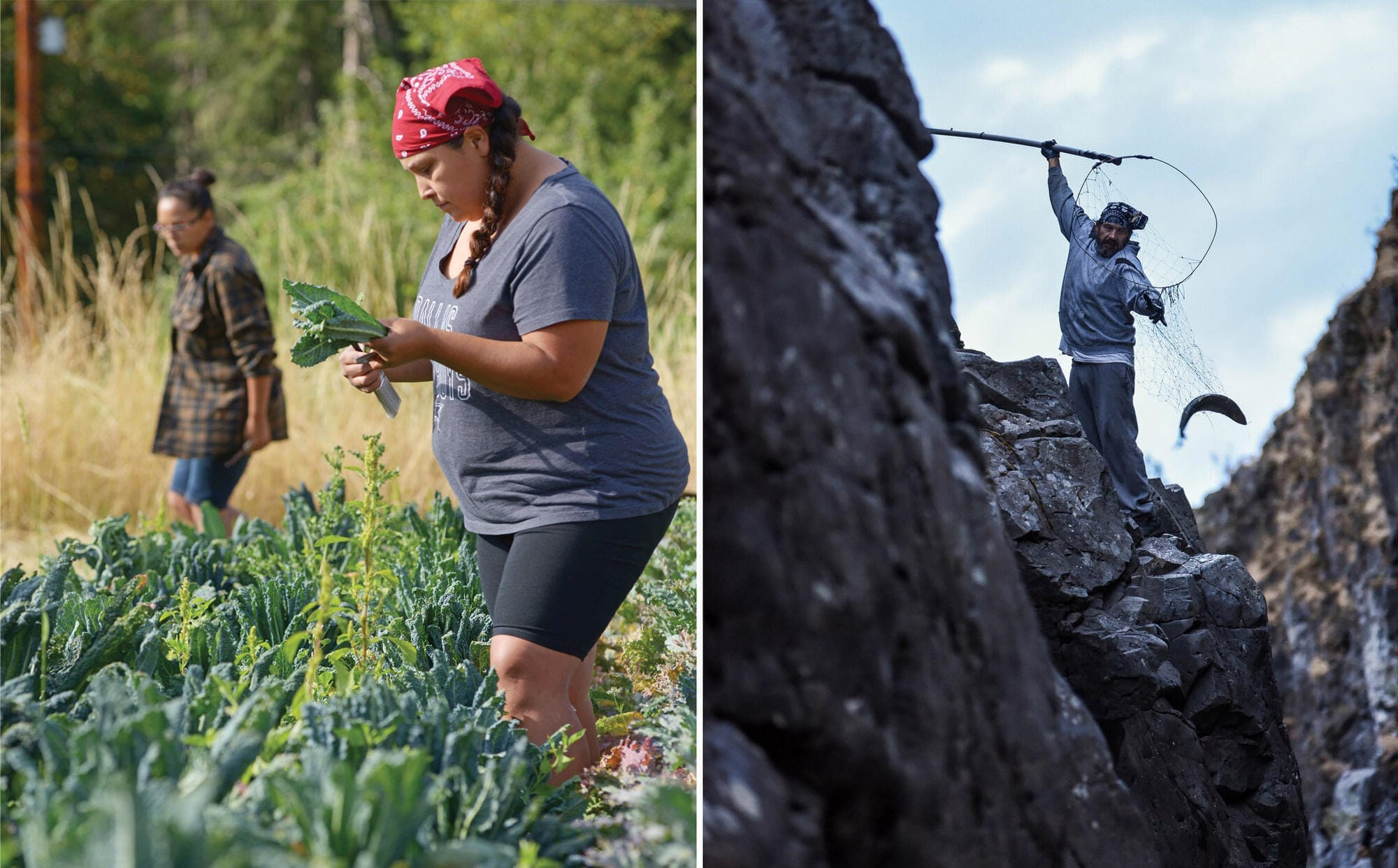 How tribes, local organizations are bolstering food sovereignty ...