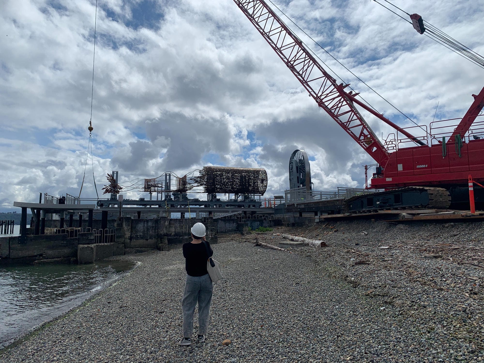 ArtSEA: A ‘Ghost Log’ appears on Tacoma’s waterfront | Cascade PBS