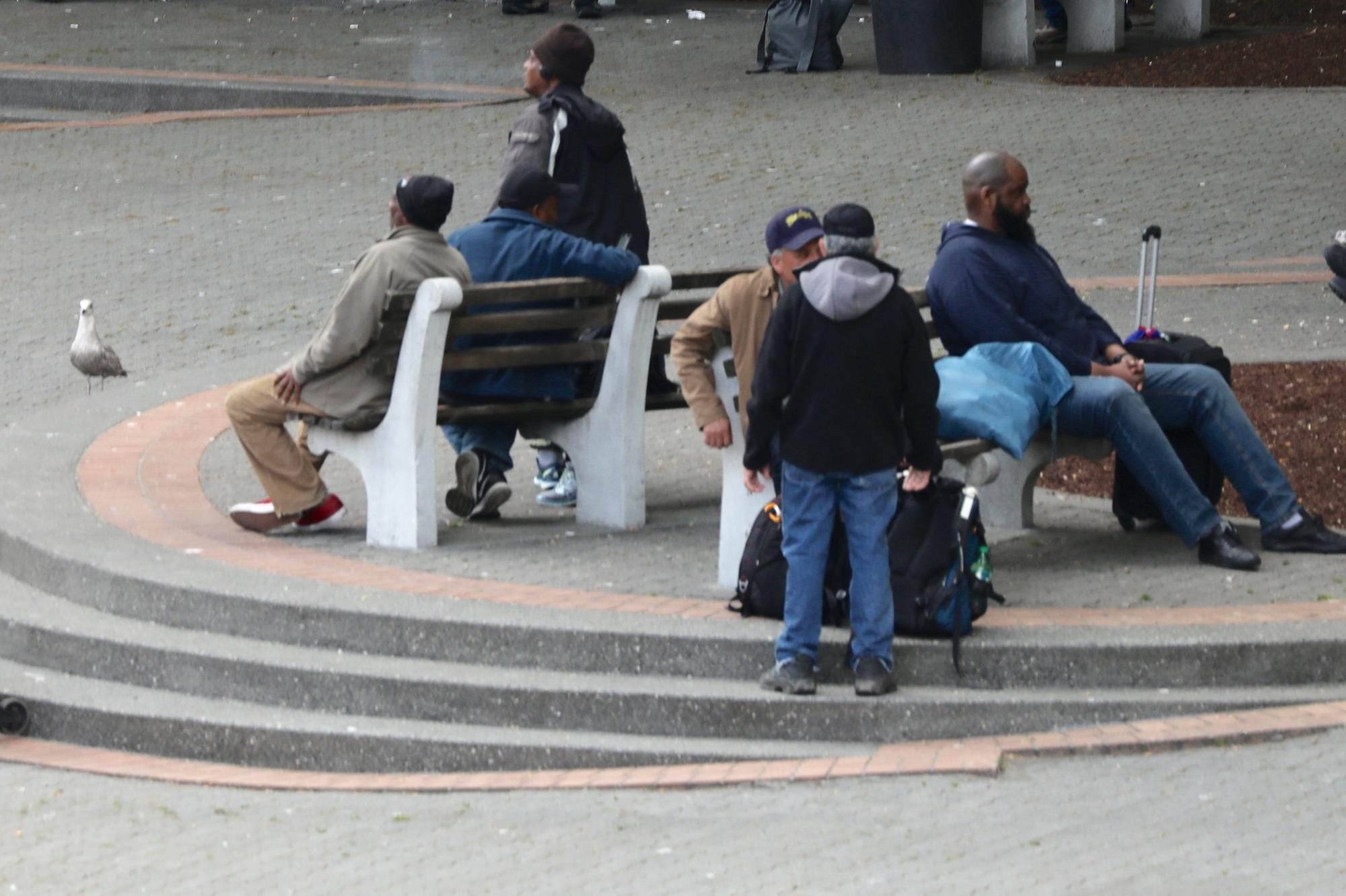 Case workers: ‘A paycheck away from being homeless themselves ...