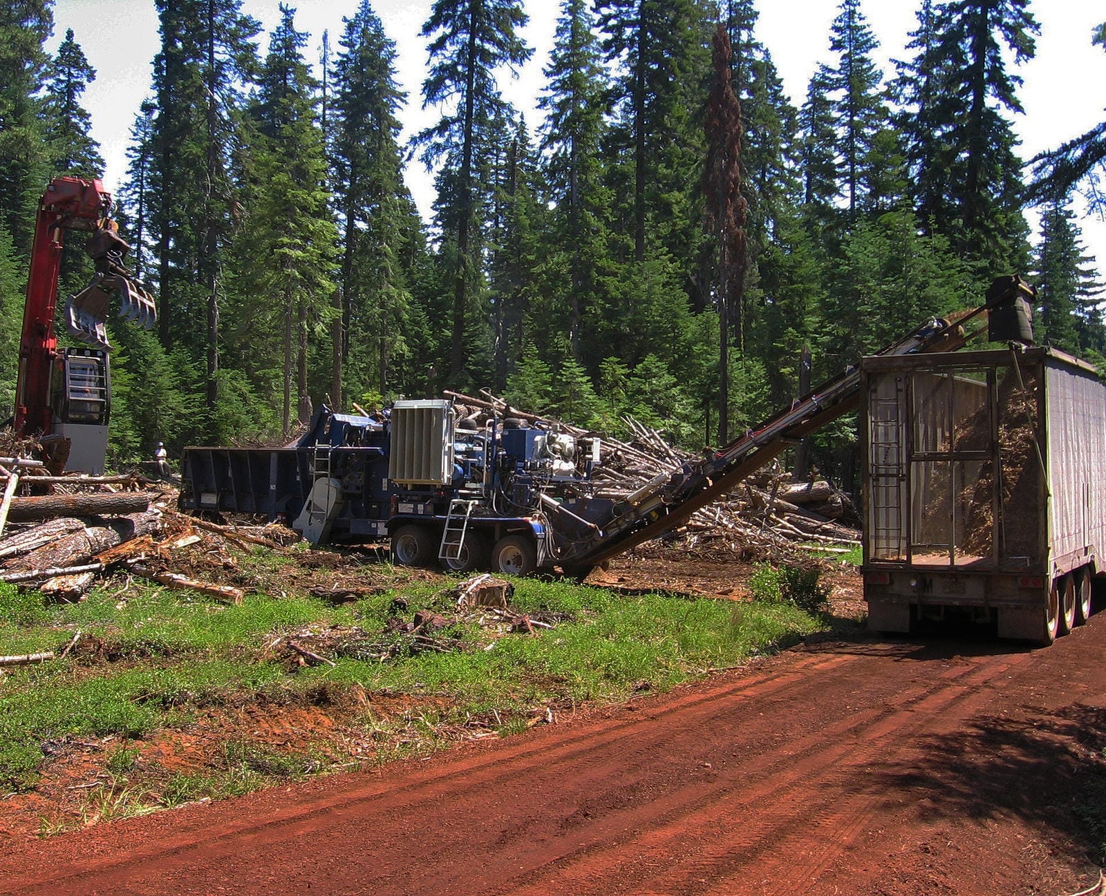 Con: Timber does Washington good | Cascade PBS