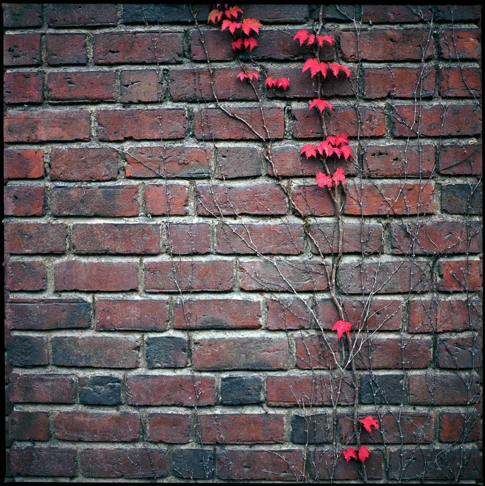 9 reasons to build that Canadian wall | Cascade PBS