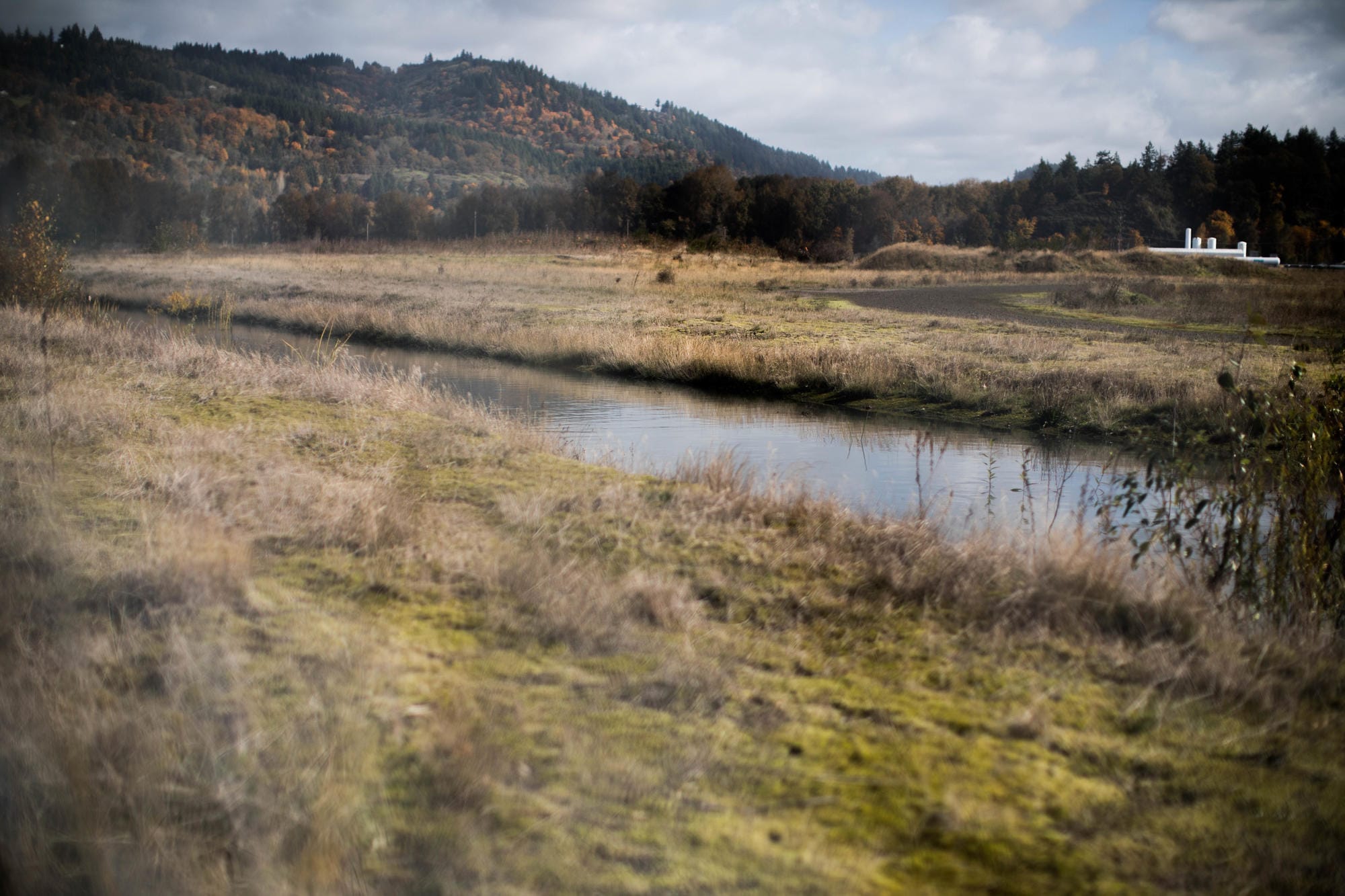 A small Washington town may build the world's largest methanol plant ...
