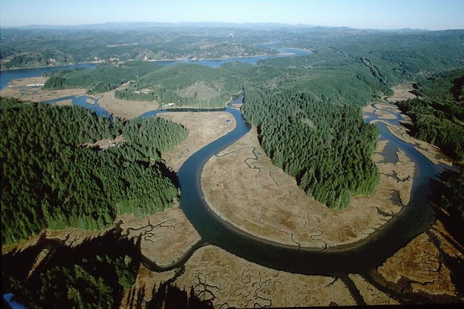 These waterways are some of the most diverse ecosystems on the West ...