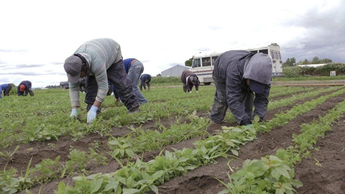 How WA farmers are safeguarding migrant workers | Cascade PBS