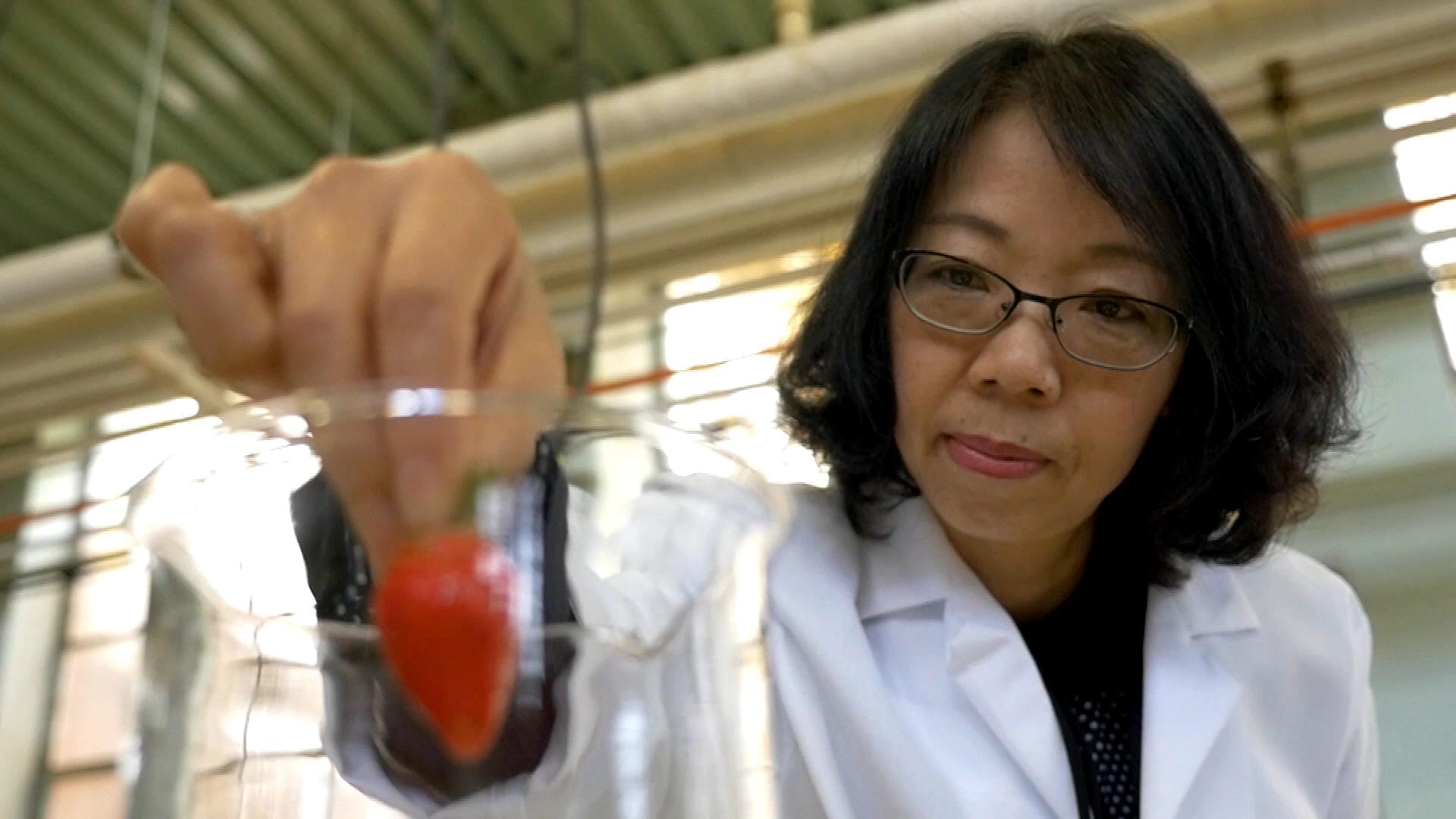 One scientist’s solution to our plastic problem: Eat it | Cascade PBS