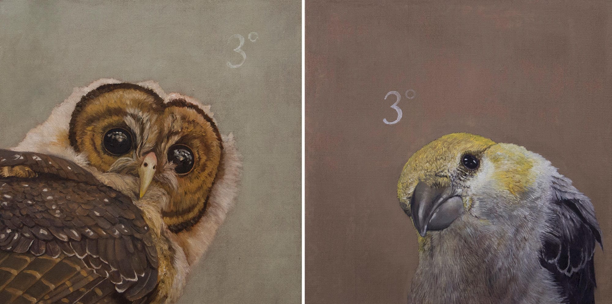 ArtSEA: A flock of bird art migrates to Northwest galleries | Cascade PBS
