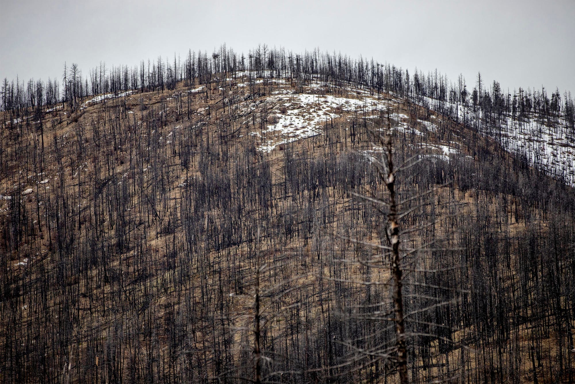 Washington’s climate woes: First wildfires, then debris flow | Cascade PBS