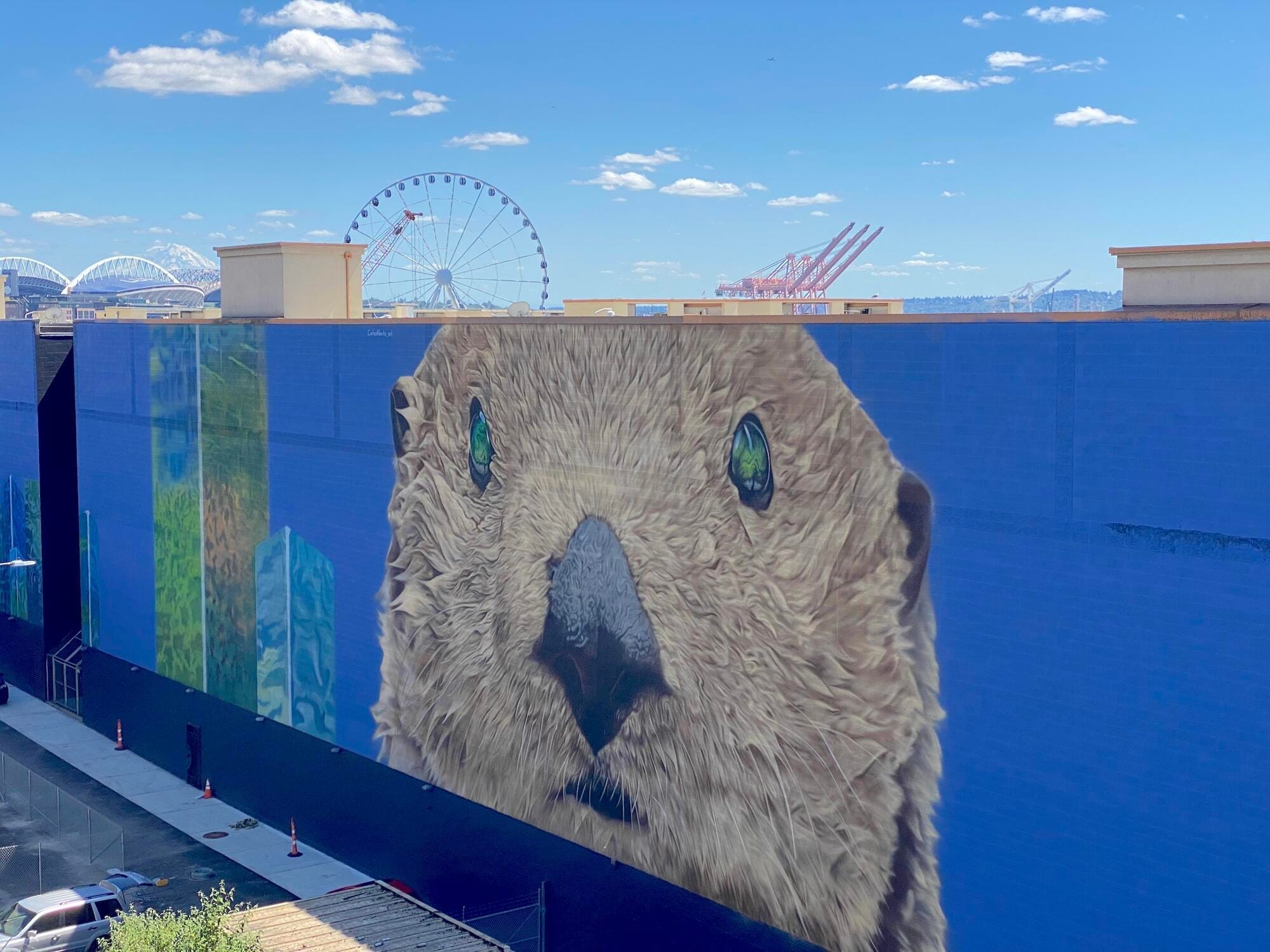 ArtSEA: Seattle has a big new mural — but is it the biggest? | Cascade PBS