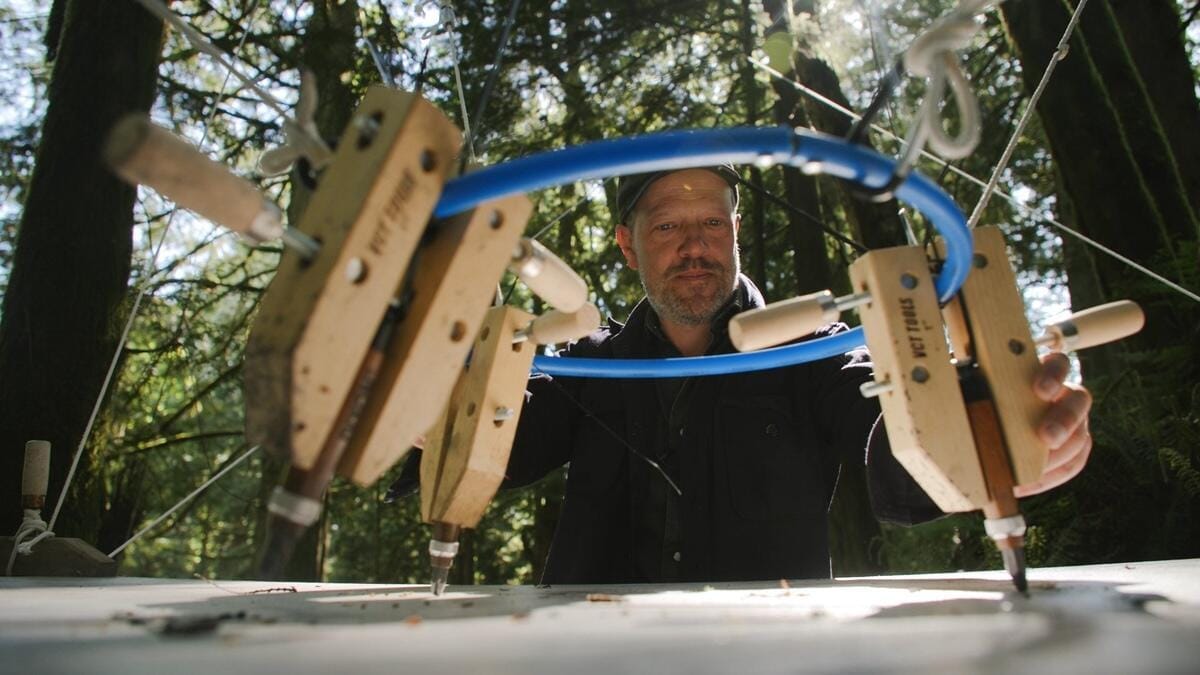 Art by NW: Todd Horton’s drawing devices reveal the dreams of trees ...