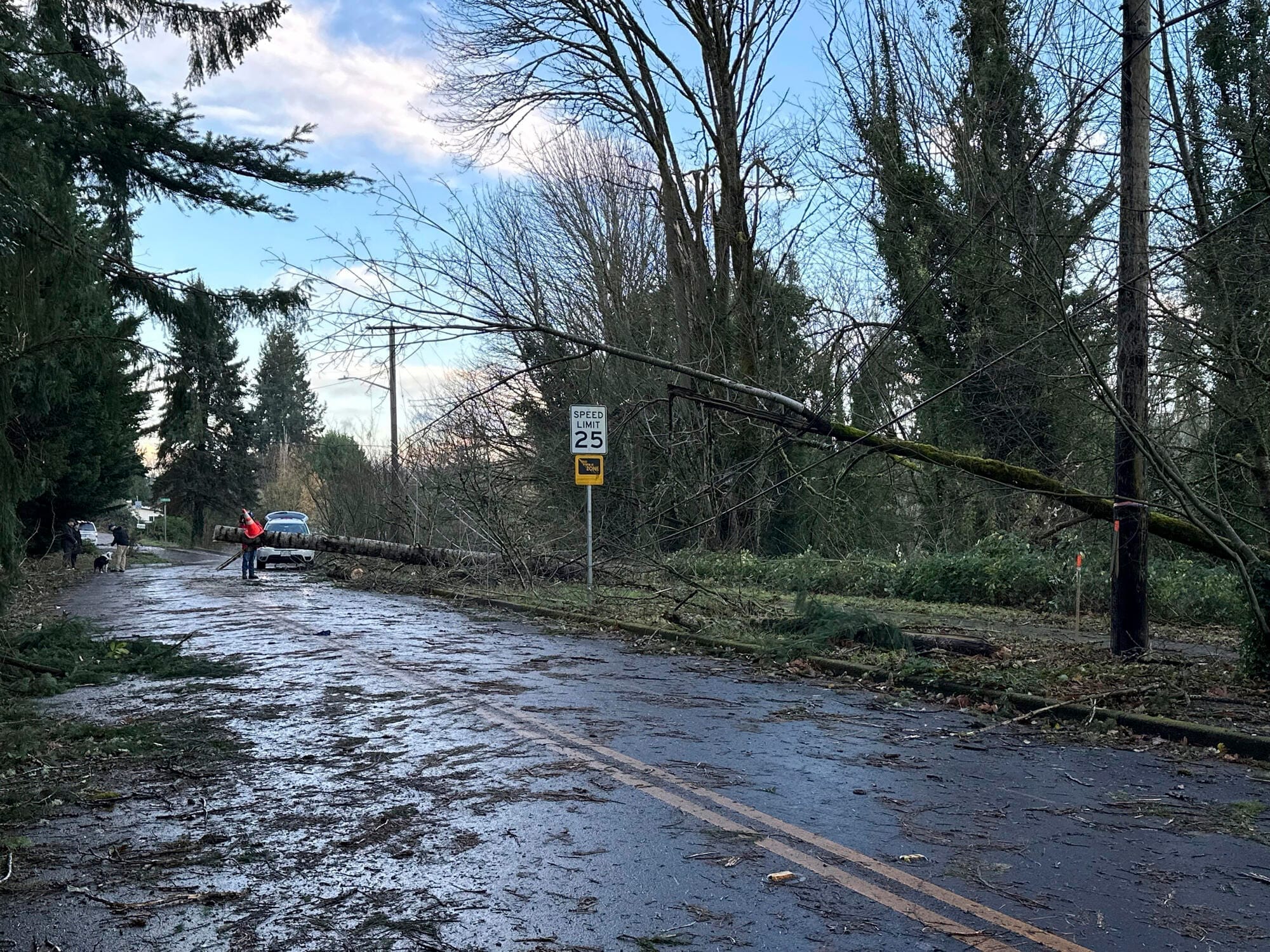 What to know during the Western WA bomb cyclone power outage | Cascade PBS