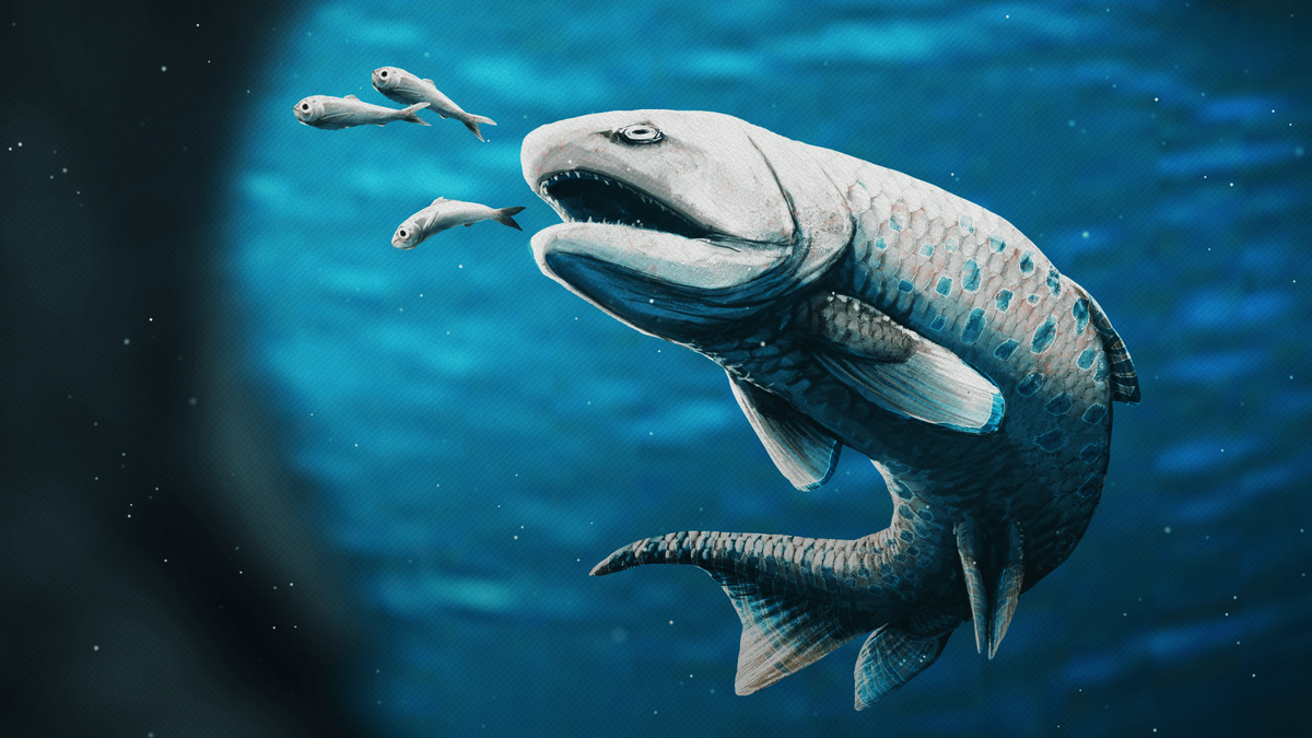 How Vertebrates Got Teeth... And Lost Them Again | Cascade PBS