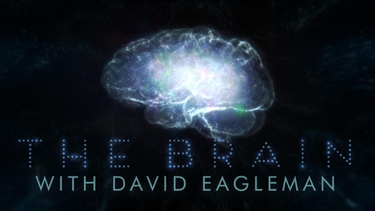 Neuroscientist David Eagleman explores the human brain in an epic series.