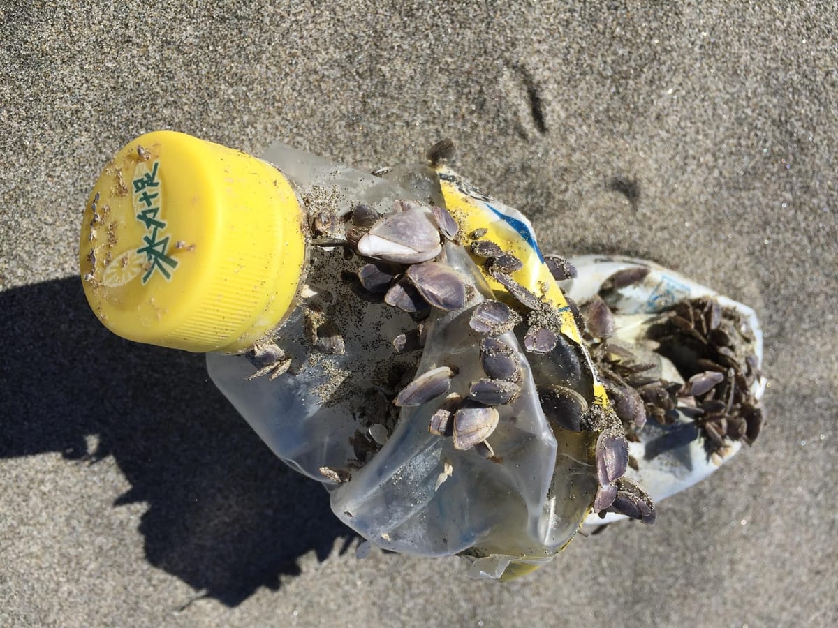 Oregon’s Problem With Plastics Special | Cascade PBS