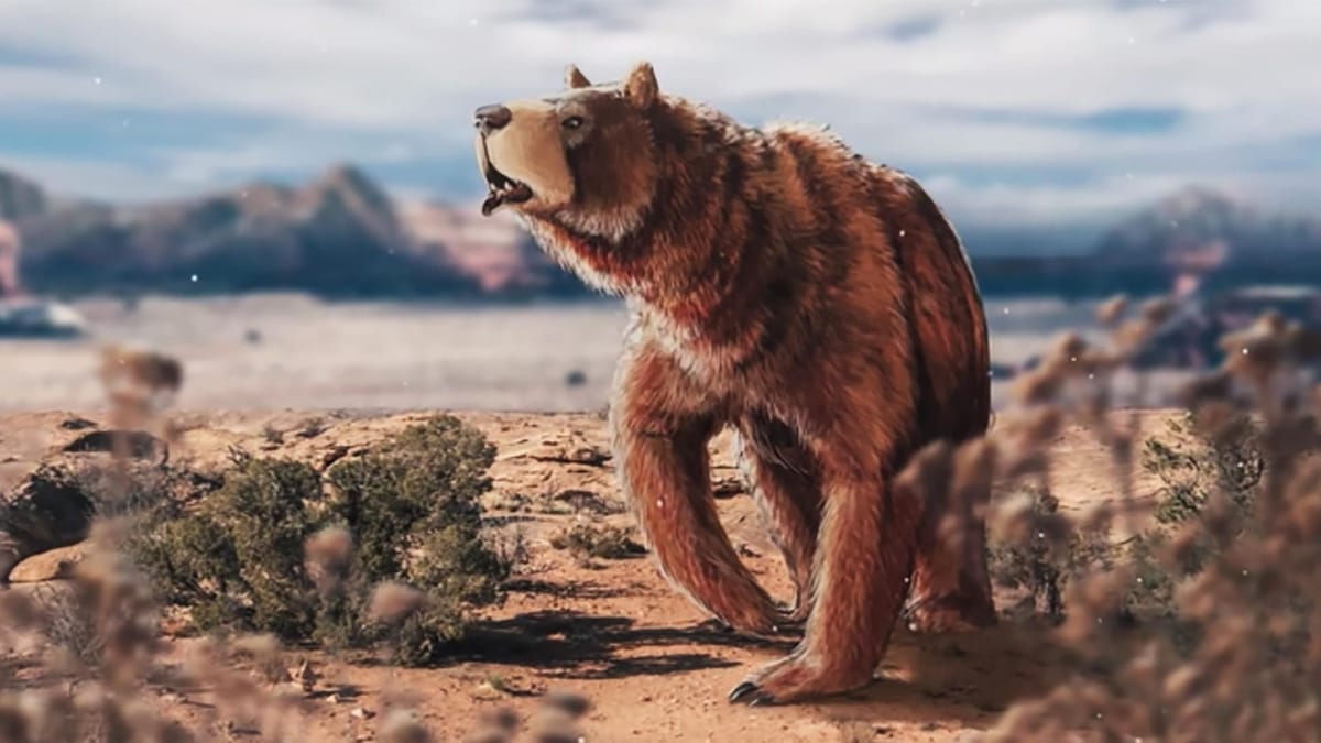The Mystery Behind the Biggest Bears of All Time | Cascade PBS