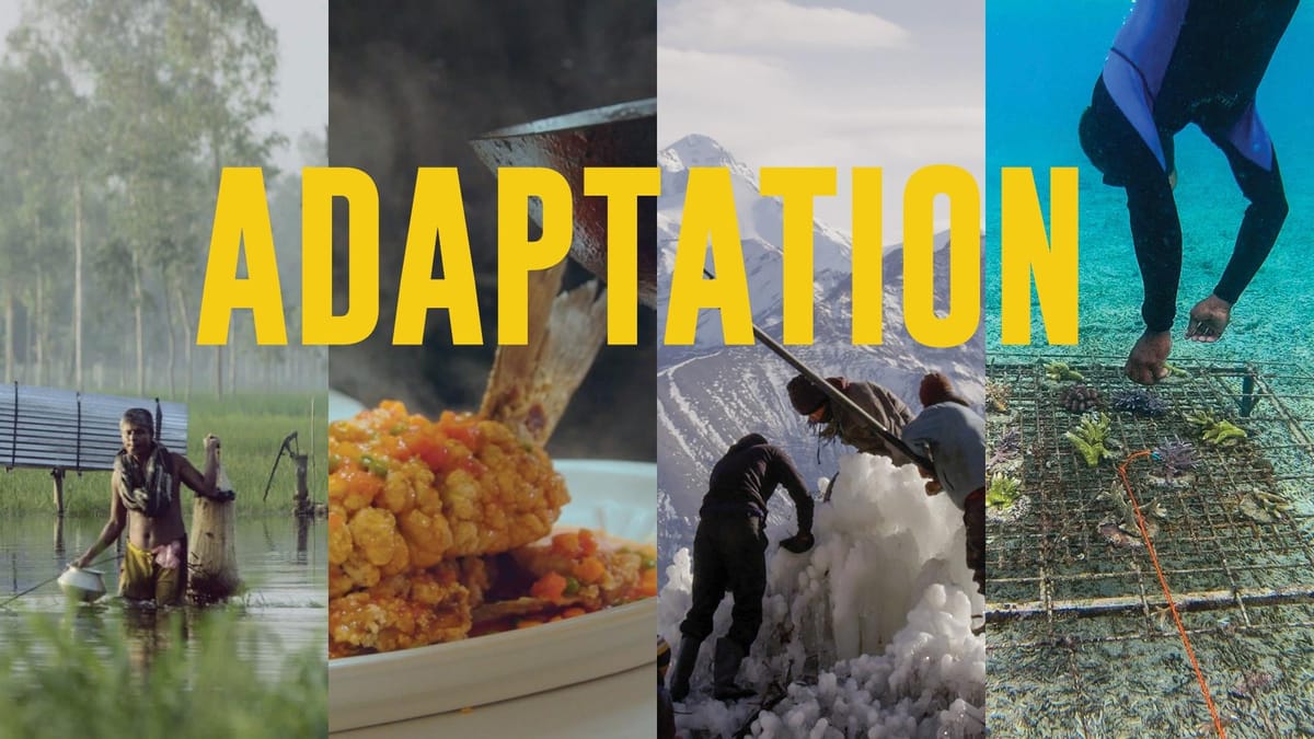 Preview | Adaptation | Cascade PBS