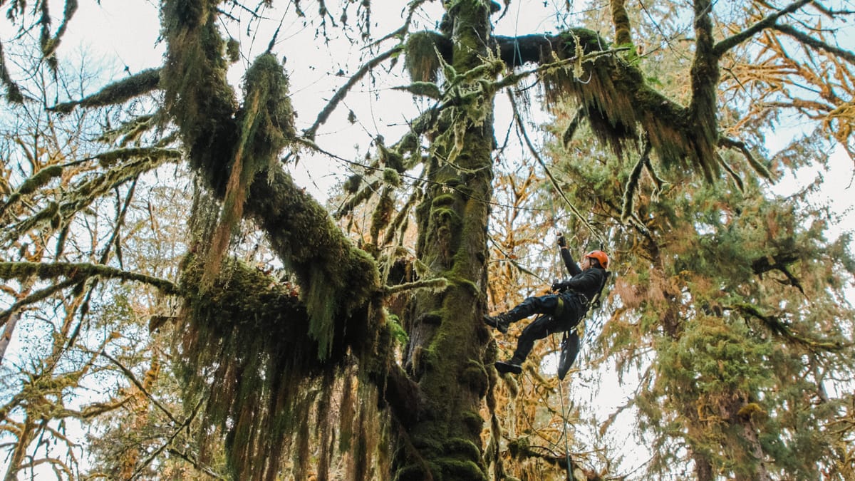 Human Elements: What we can learn from the canopy soils of the Olympic ...