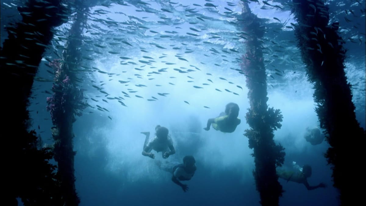 Episode 2 Preview | Wonders of Water | Cascade PBS