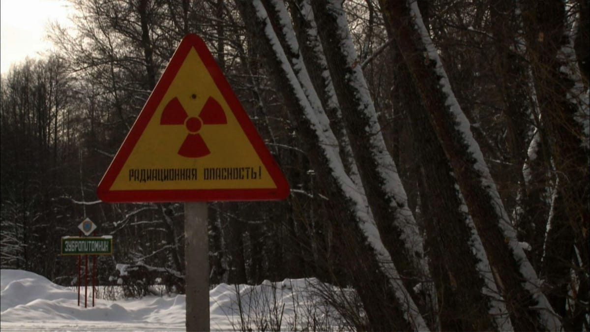 Radioactive Wolves | Cascade PBS
