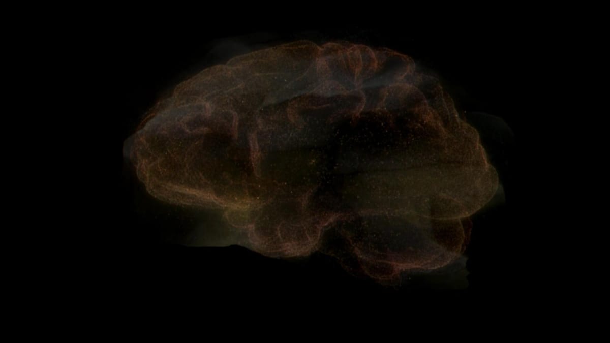 Episode 1 | How the Brain Creates Reality | Cascade PBS