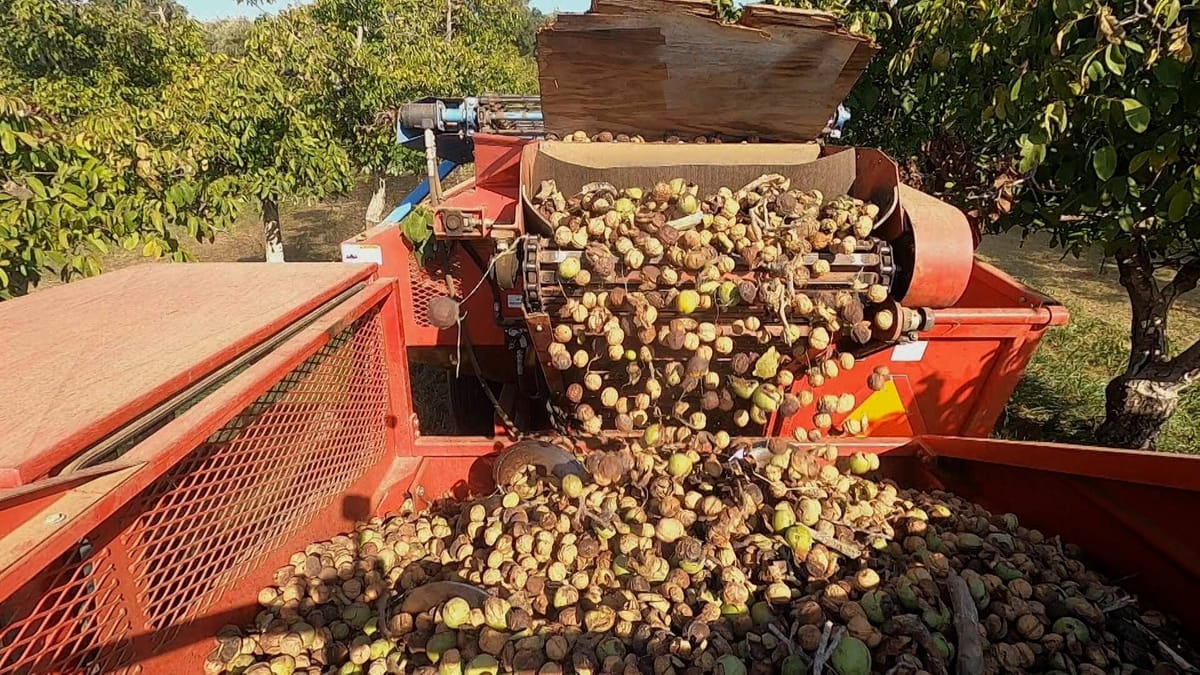 Sustainable Walnut Farm | Cascade PBS