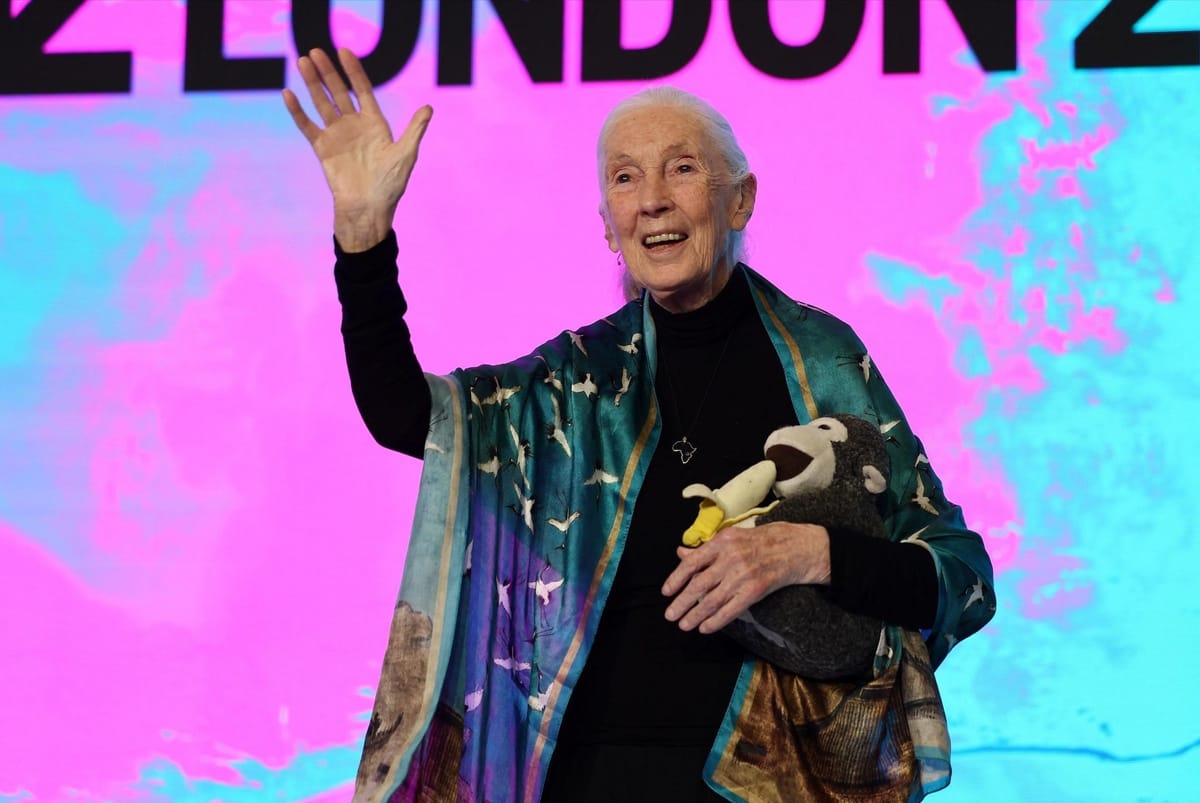 How Jane Goodall changed the way people see animals | Cascade PBS