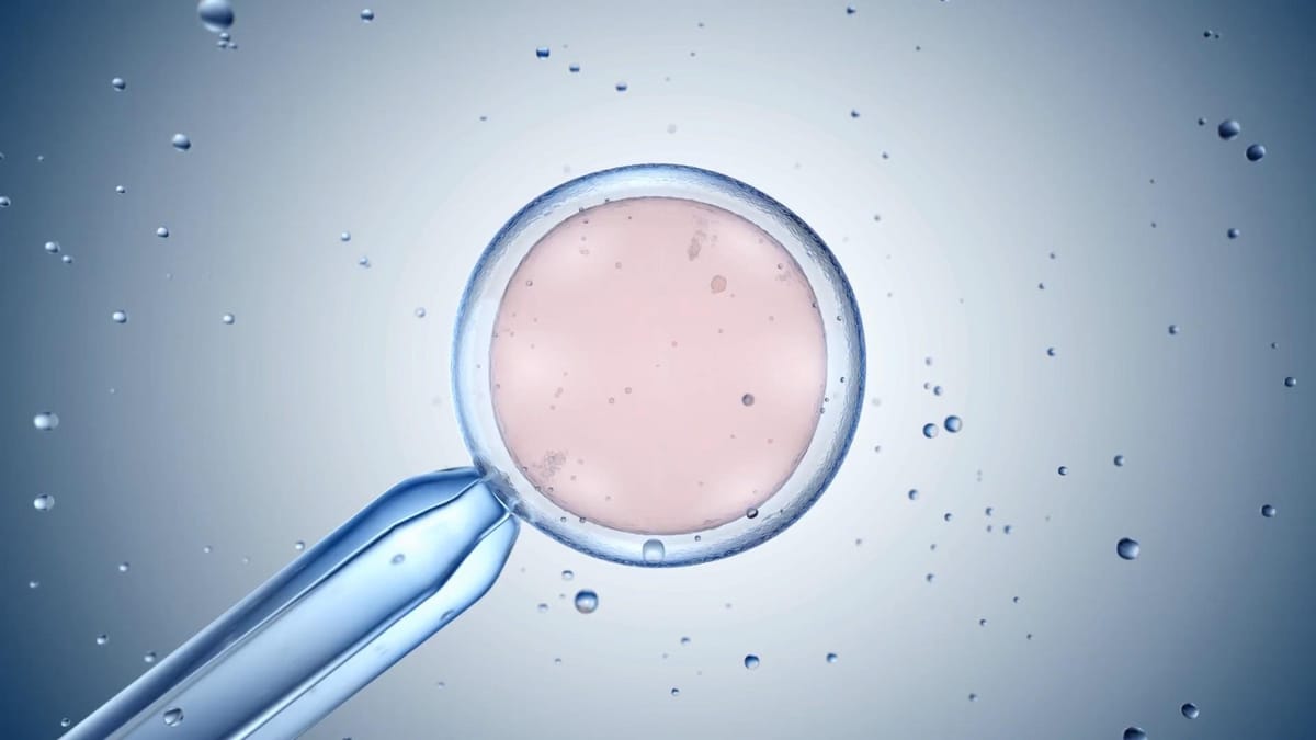 Robots Taking Over IVF: The Future of Fertility Treatments | Cascade PBS