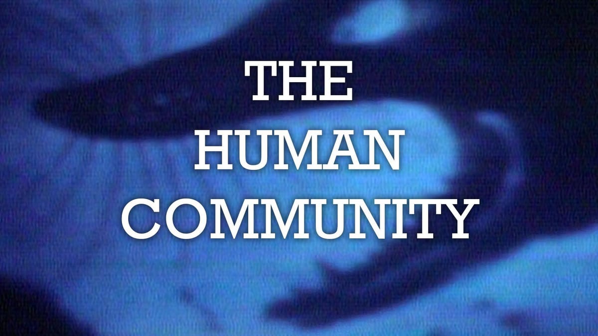 The Human Community: The Human Species Ep1 (1993) | Cascade PBS