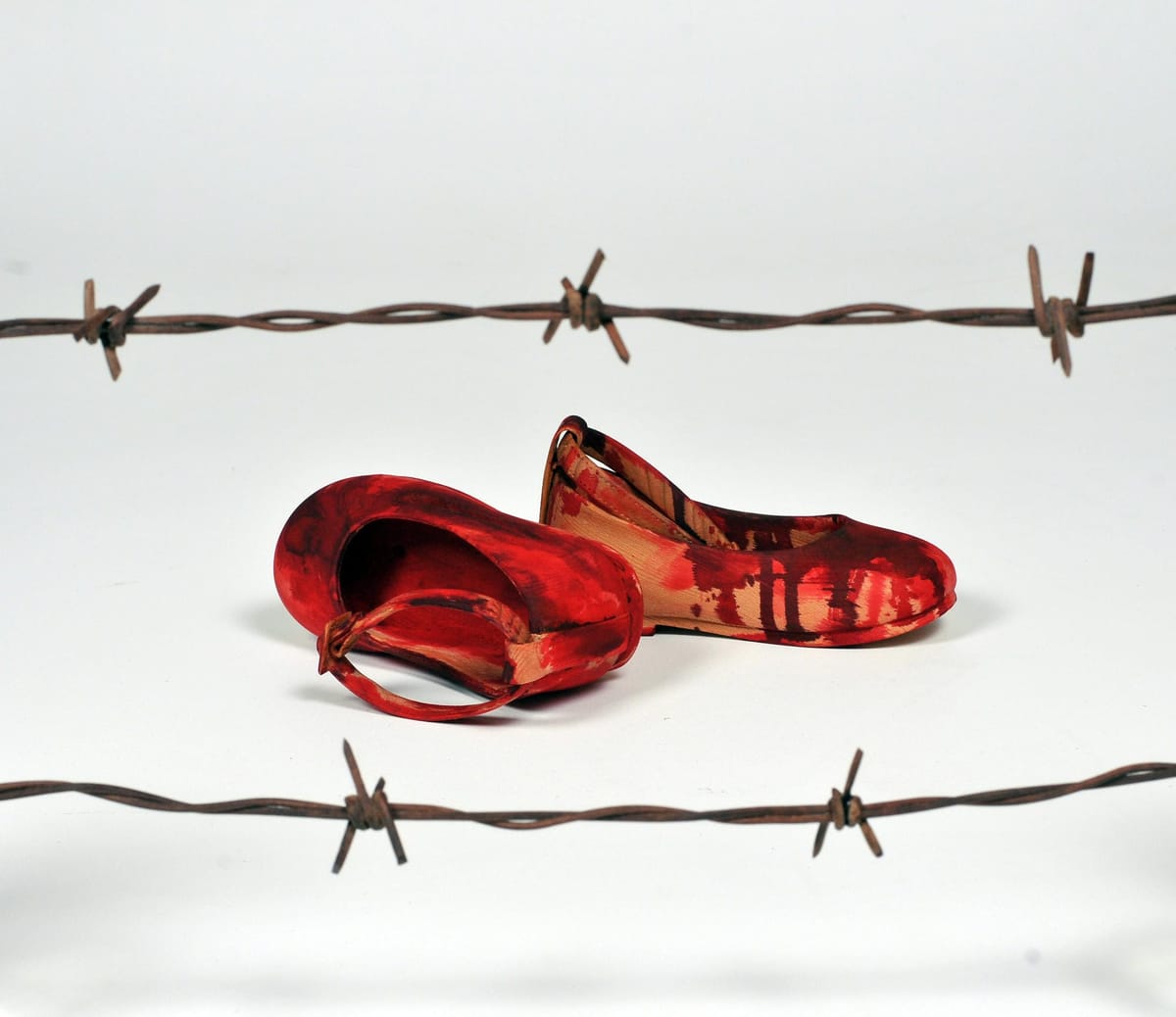 Seattle artist Humaira Abid examines a crisis through a feminist lens ...