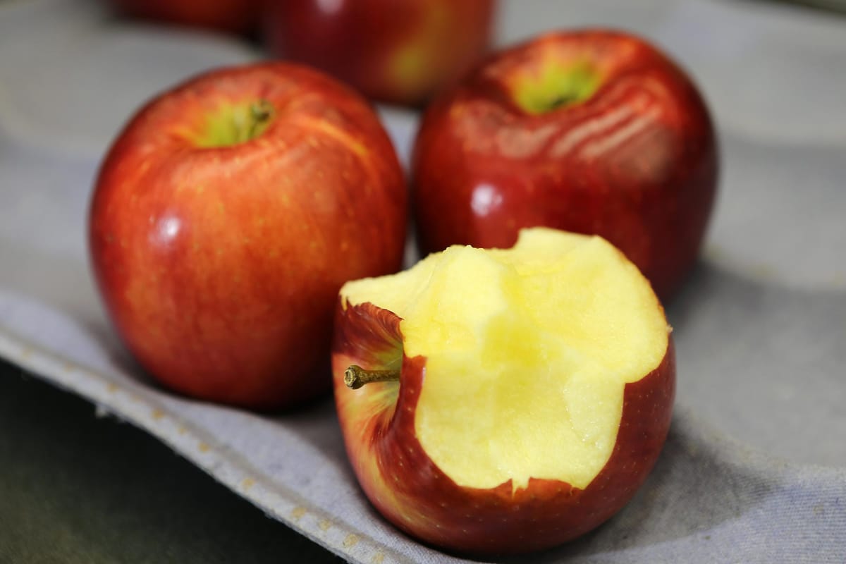 Washington’s new apple could be an industry game-changer | Cascade PBS