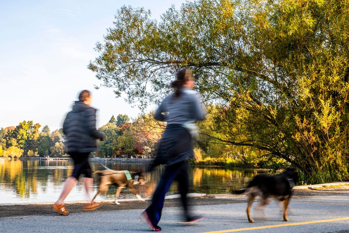 Fighting for the right to run — without being assaulted | Cascade PBS