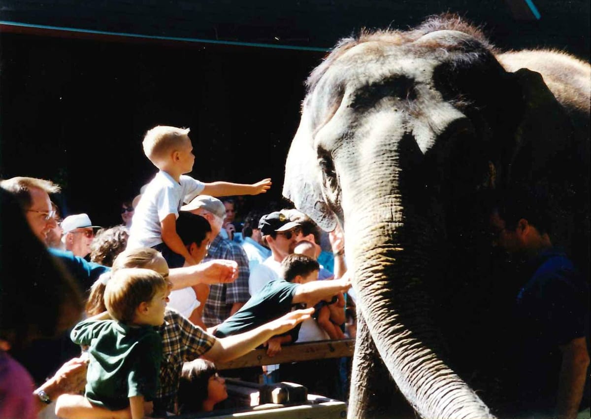 What a way to go. Woodland Park packs off its elephants. | Cascade PBS